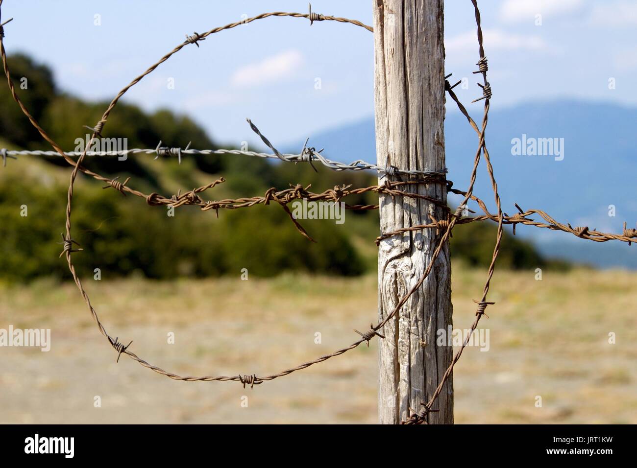 Barbed wire fence cattle farm hi-res stock photography and images - Alamy