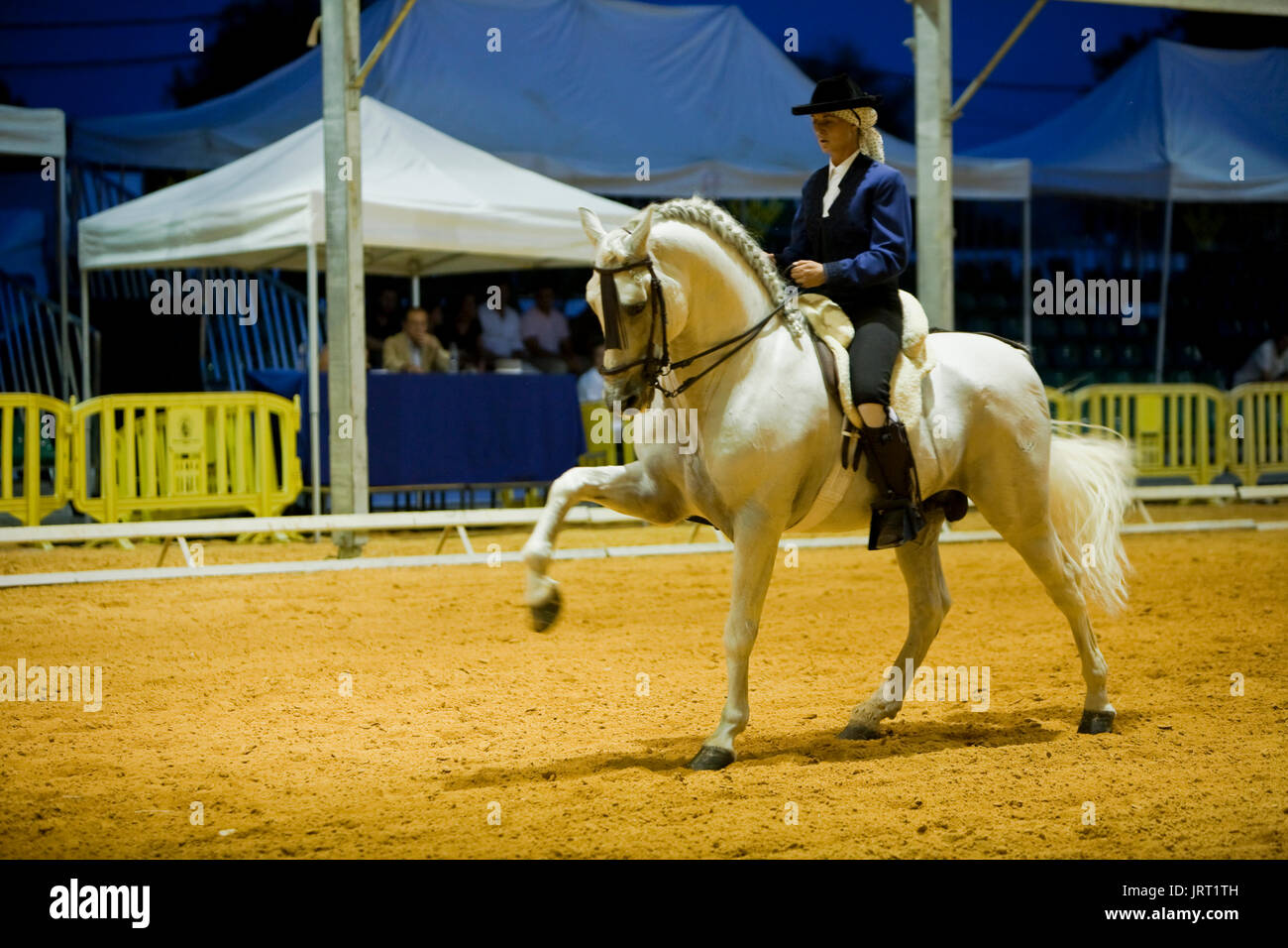 Spanish championship of equestrian taming of horses of pure race ...