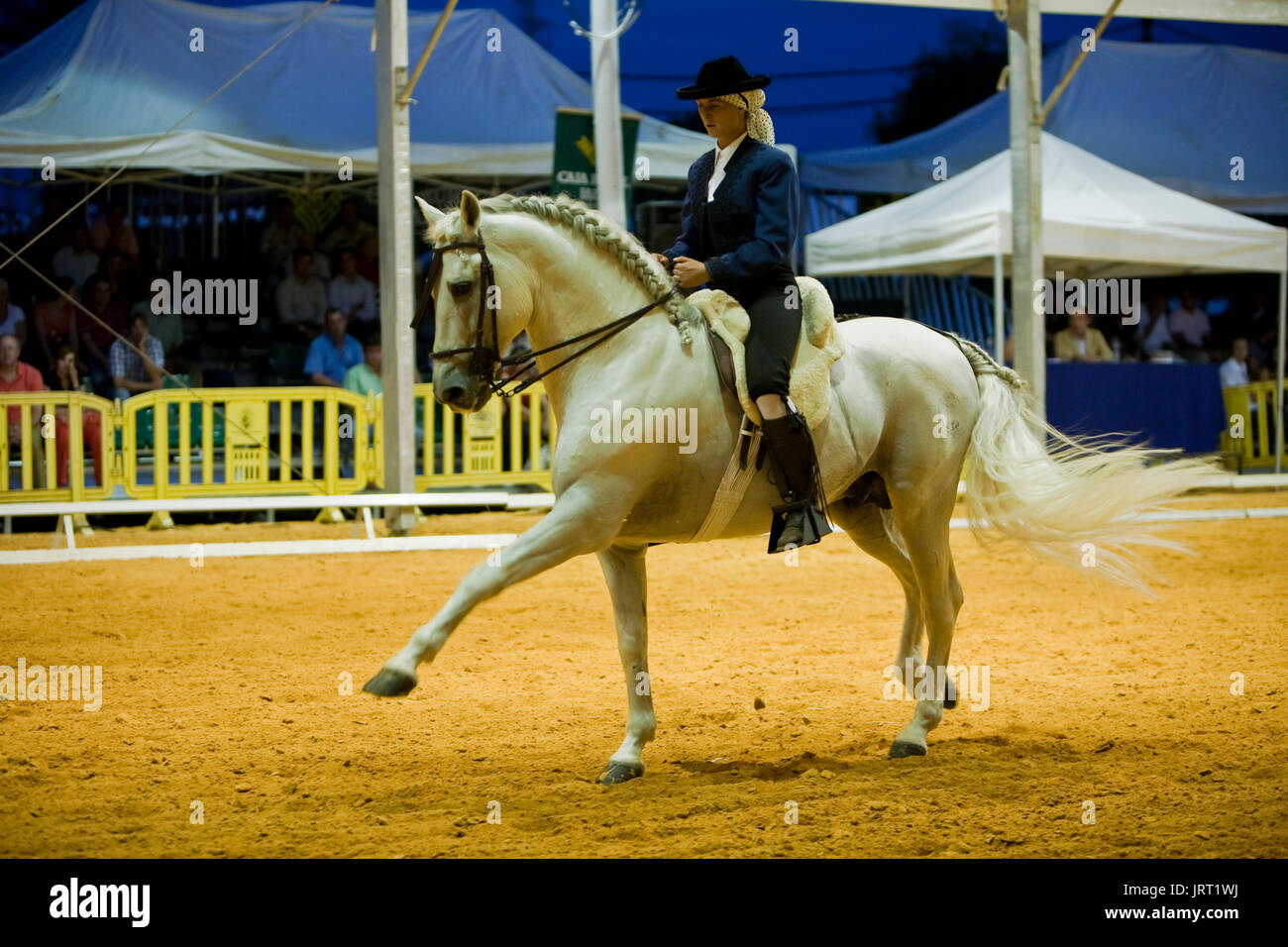 Spanish championship of equestrian taming of horses of pure race ...