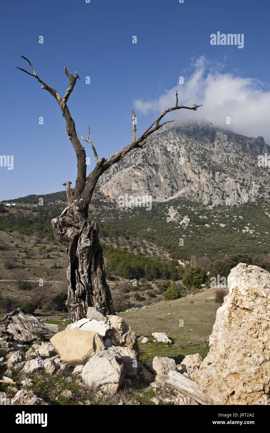 Mountain scenery during winter near the Sierra sur de Jaen, Andalucia ...