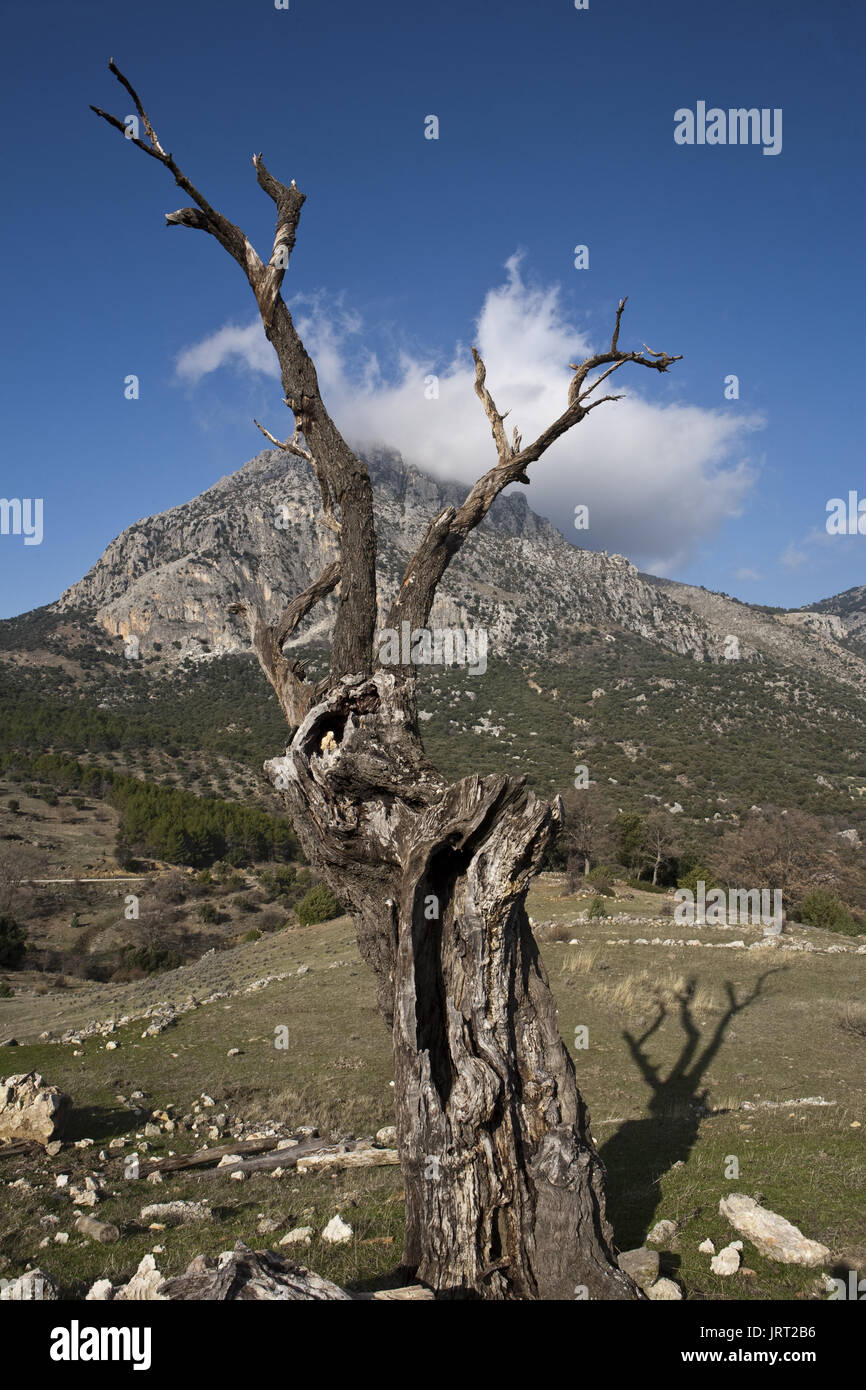 Mountain scenery during winter near the Sierra sur de Jaen, Andalucia ...