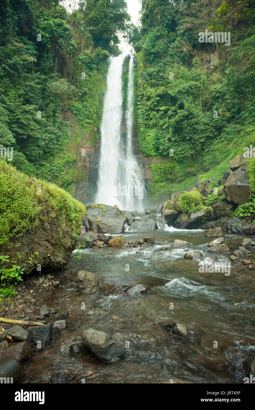Waterfall in Bali jungle Stock Photo - Alamy