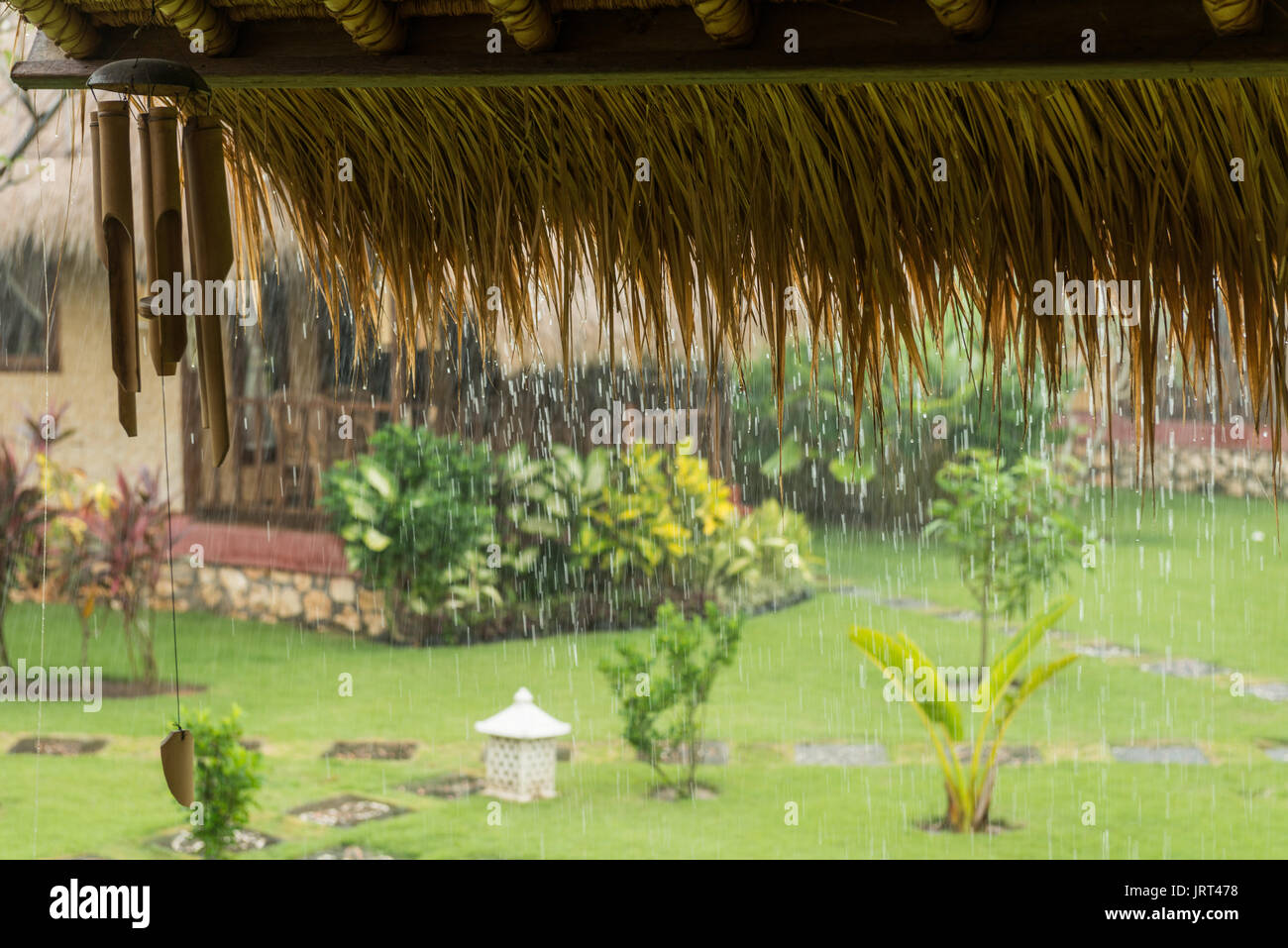 Pouring tropical rain Stock Photo - Alamy