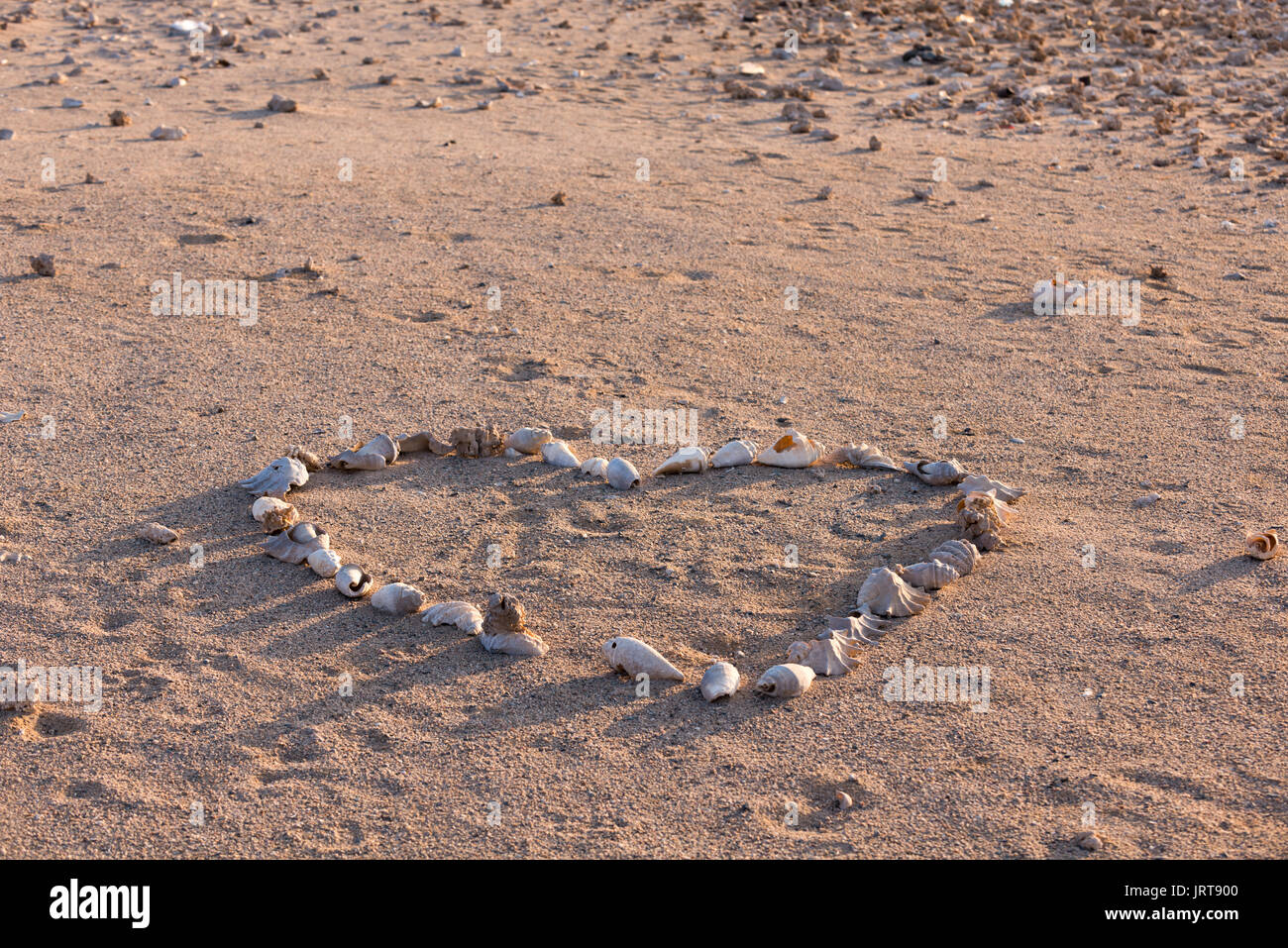 Seashells forming a heart shape on beach Stock Photo - Alamy