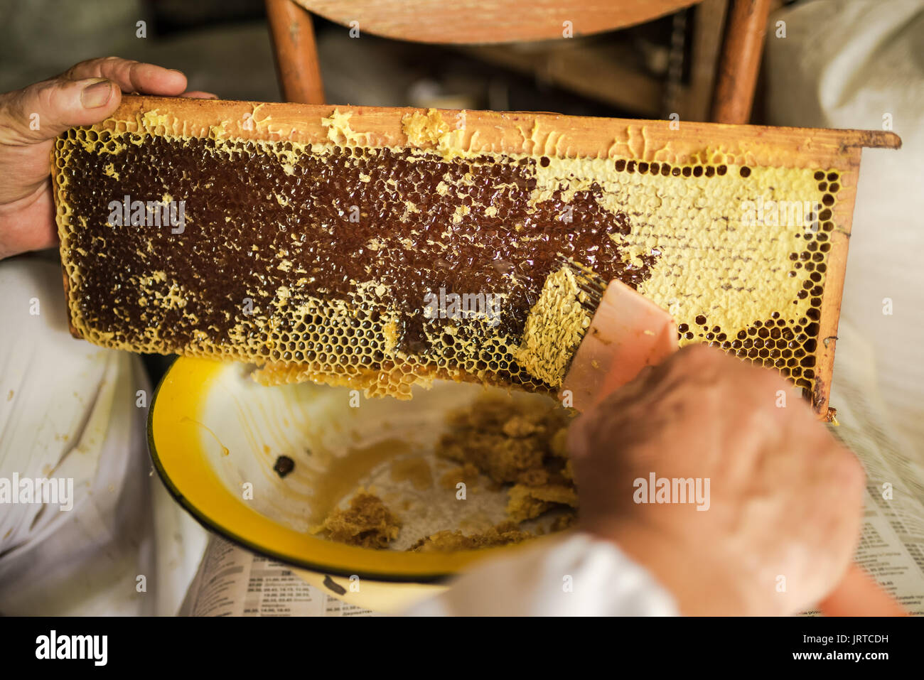 Apiculture High Resolution Stock Photography and Images - Alamy