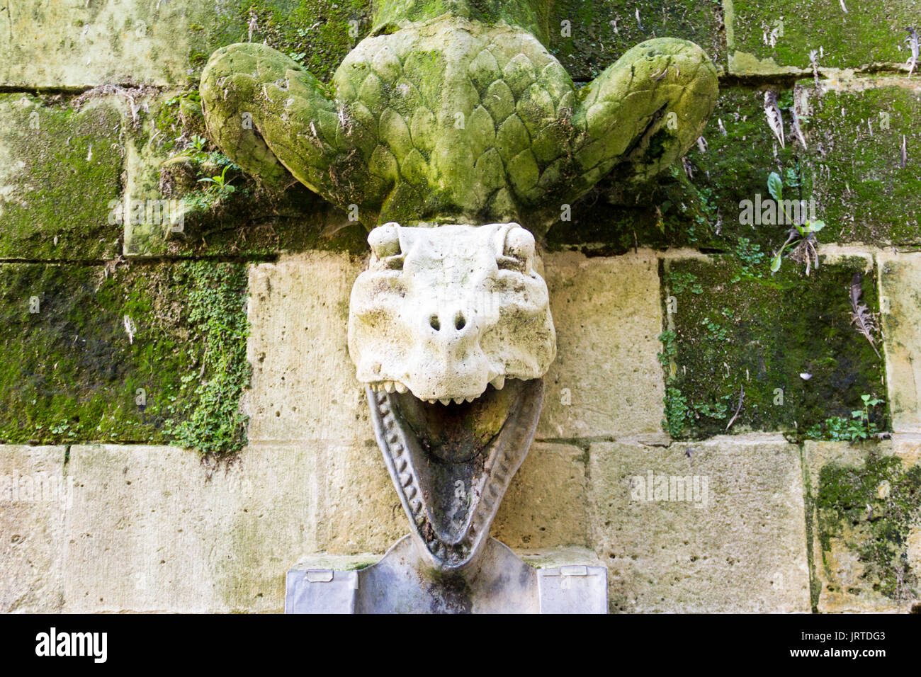 Detail of dragon gargoyle on drainage at the medieval castle of ...