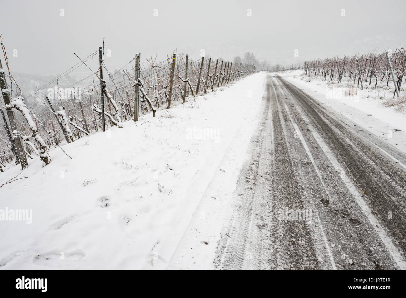 Snowfall in the vineyard hi-res stock photography and images - Alamy