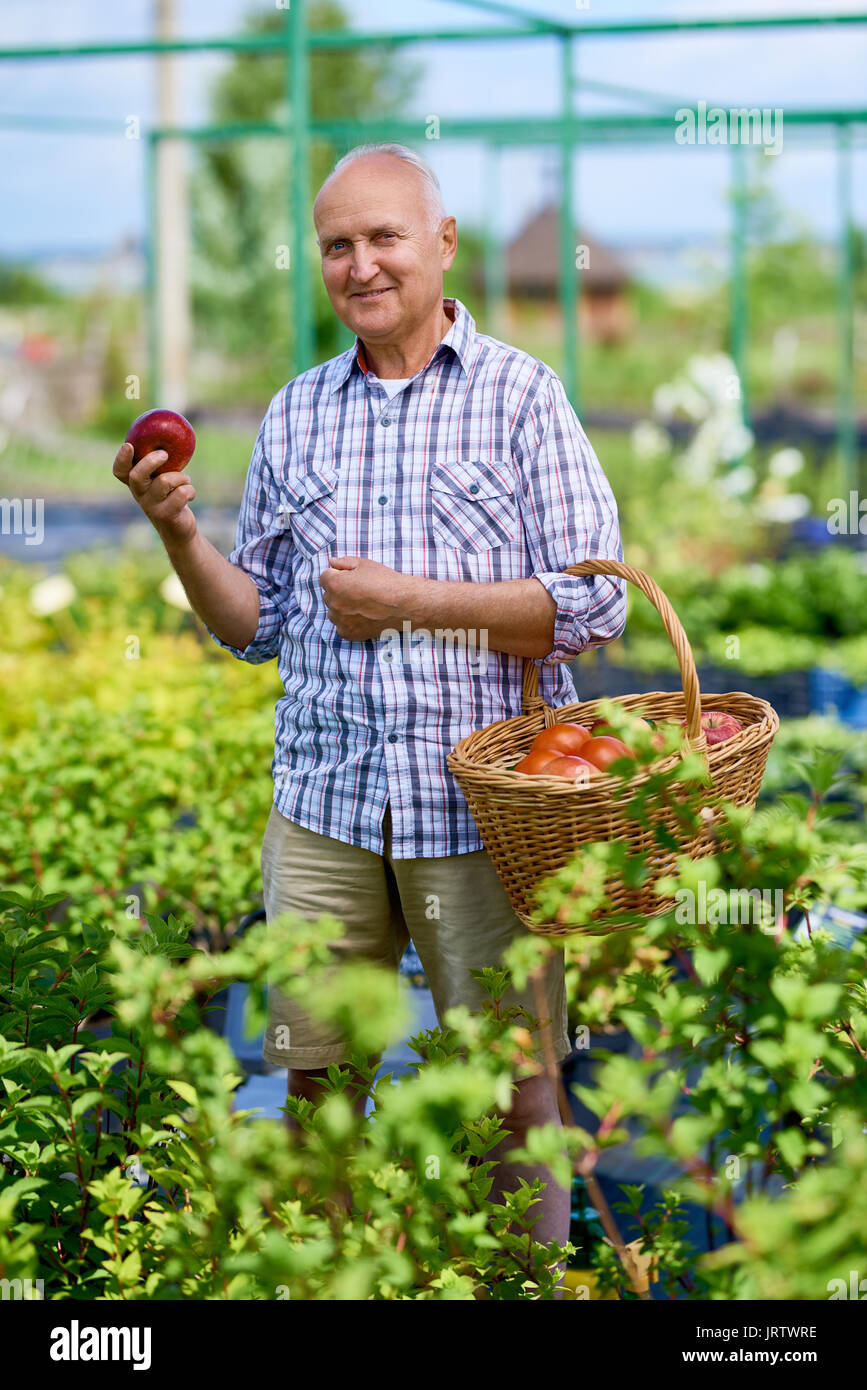 Happy Senior Man Gathering Harvest Stock Photo - Alamy