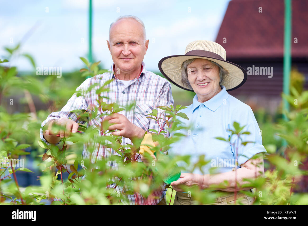 Senior farmers hi-res stock photography and images - Alamy