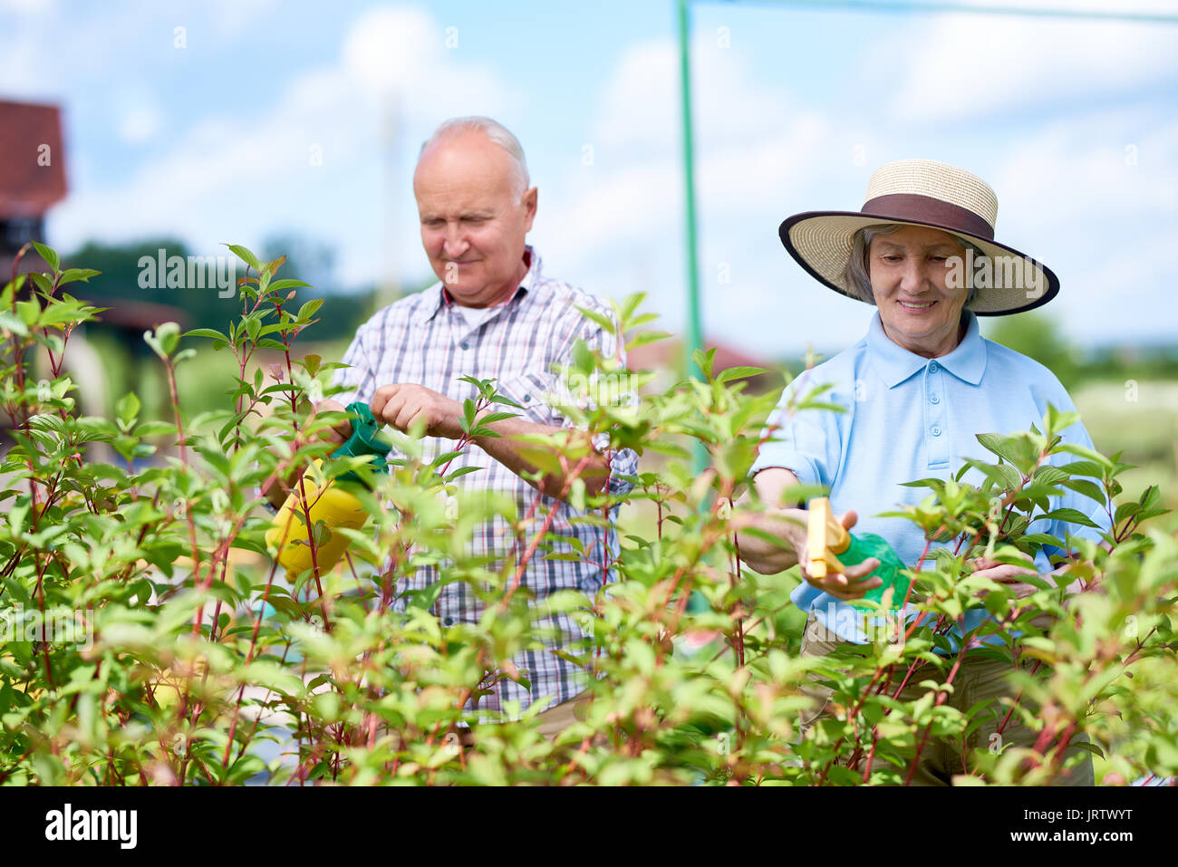 Senior farmers hi-res stock photography and images - Alamy
