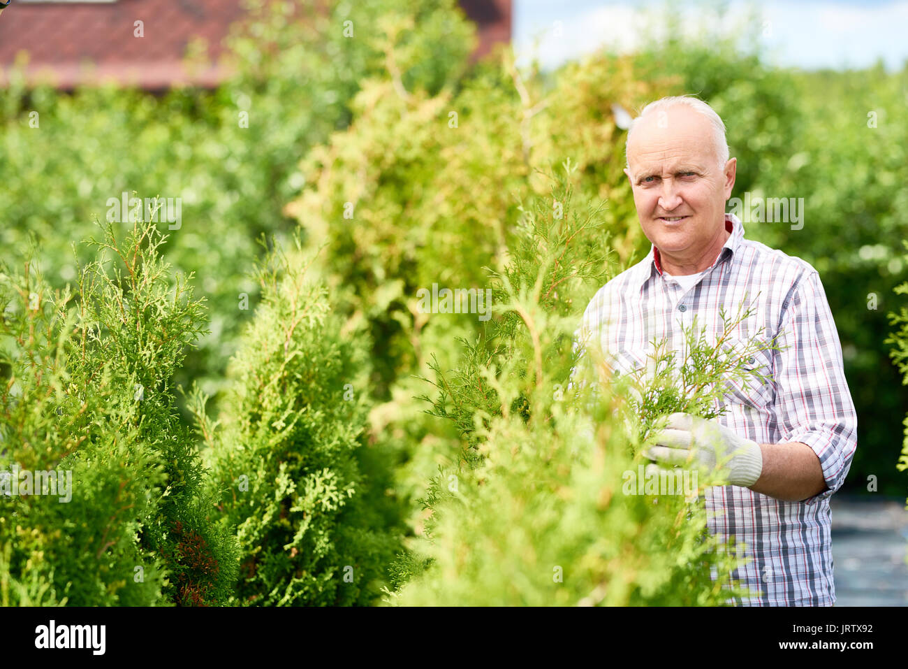 Mature gardener posing garden hi-res stock photography and images - Alamy