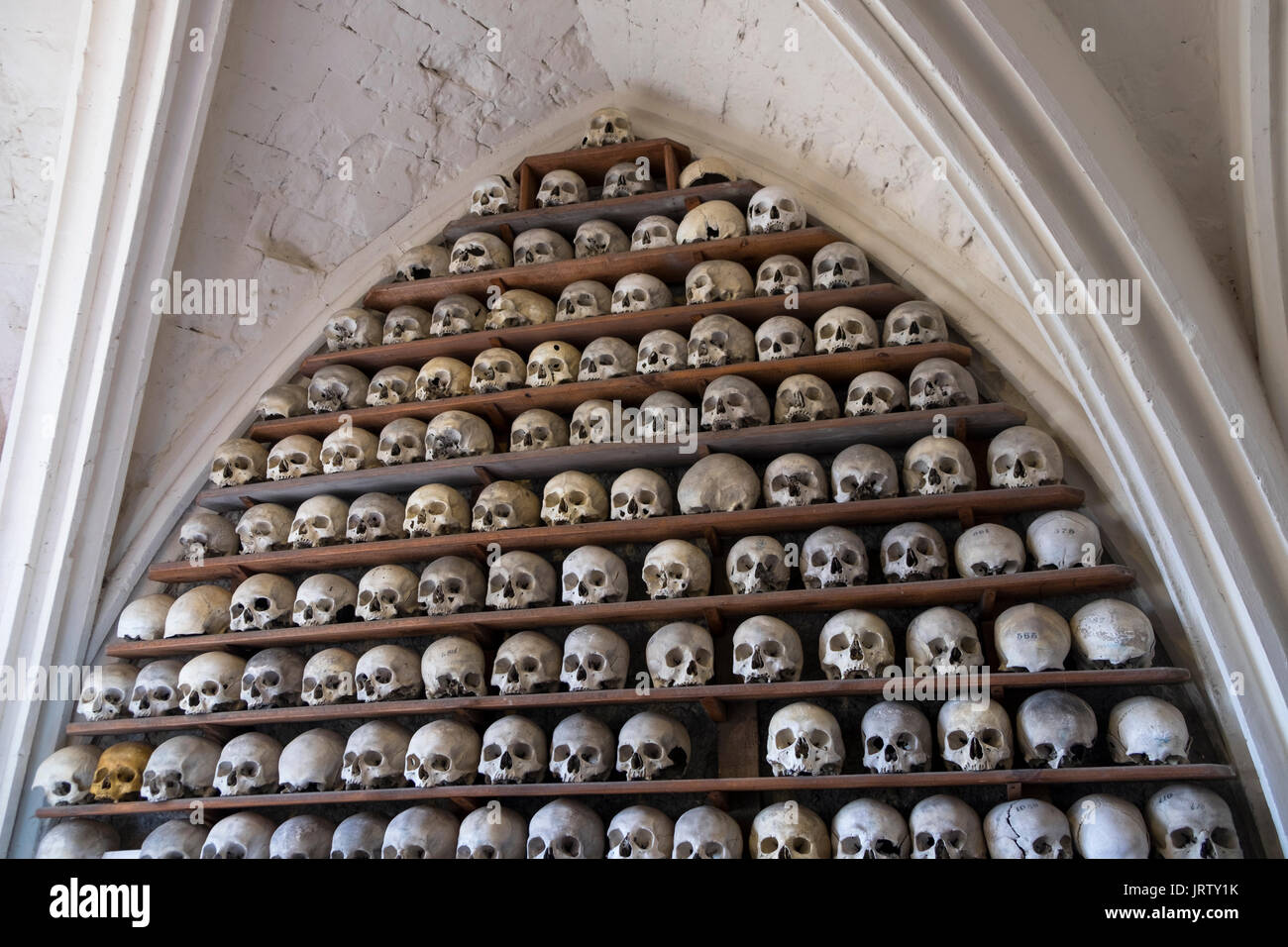 Largest collection of ancient human bones and skulls in the uk, Crypt ...