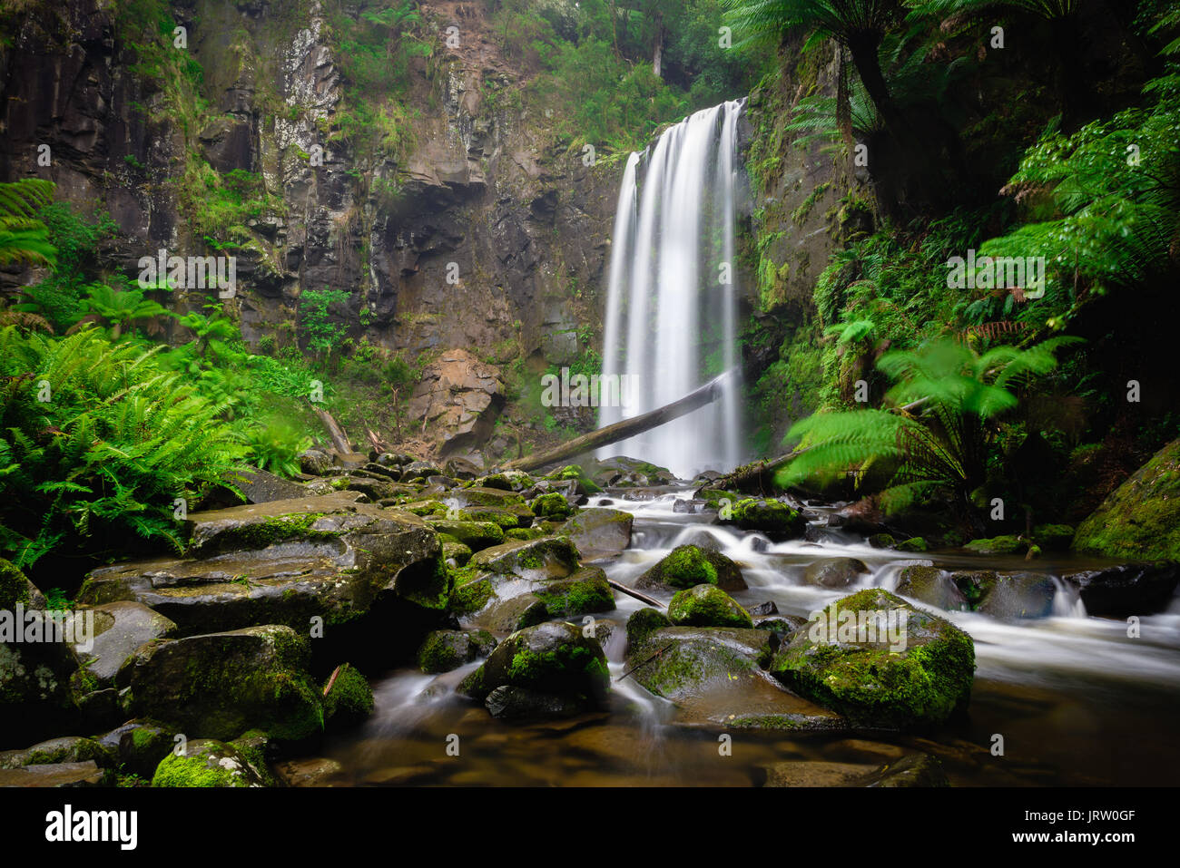 Hopetoun Falls, Great Otway National Park, Victoria, Australia Stock ...