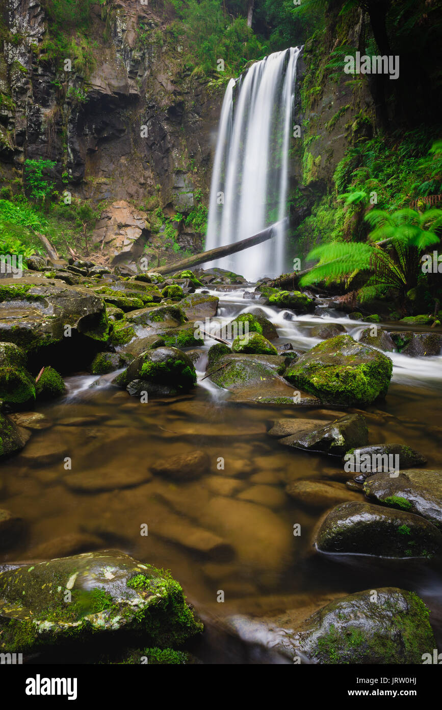 Hopetoun Falls, Great Otway National Park, Victoria, Australia Stock ...