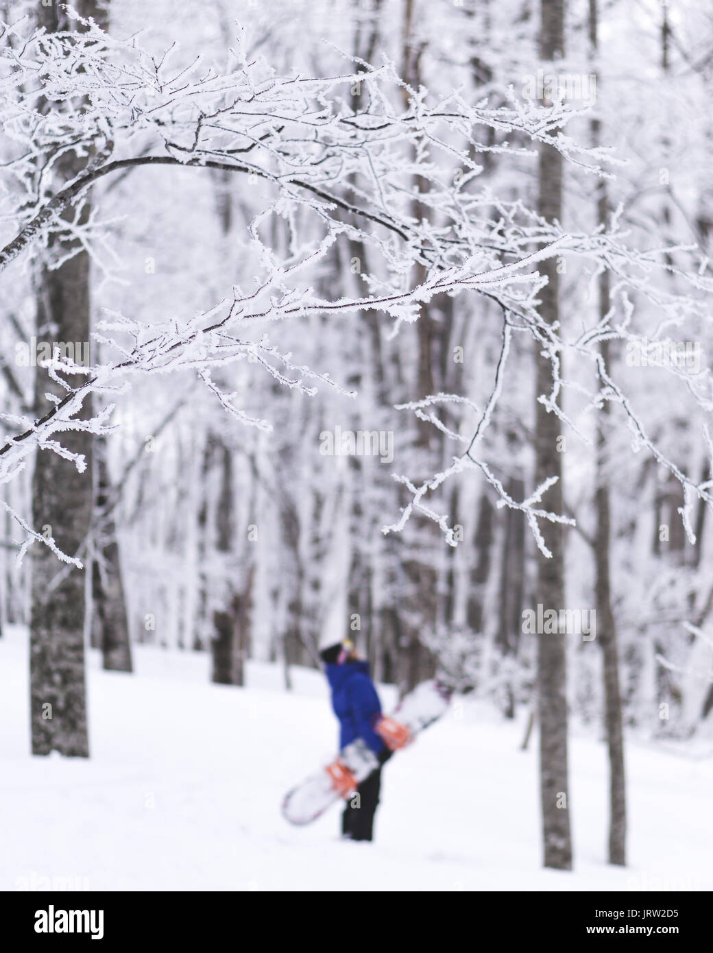Japan snowboarding hi-res stock photography and images - Alamy
