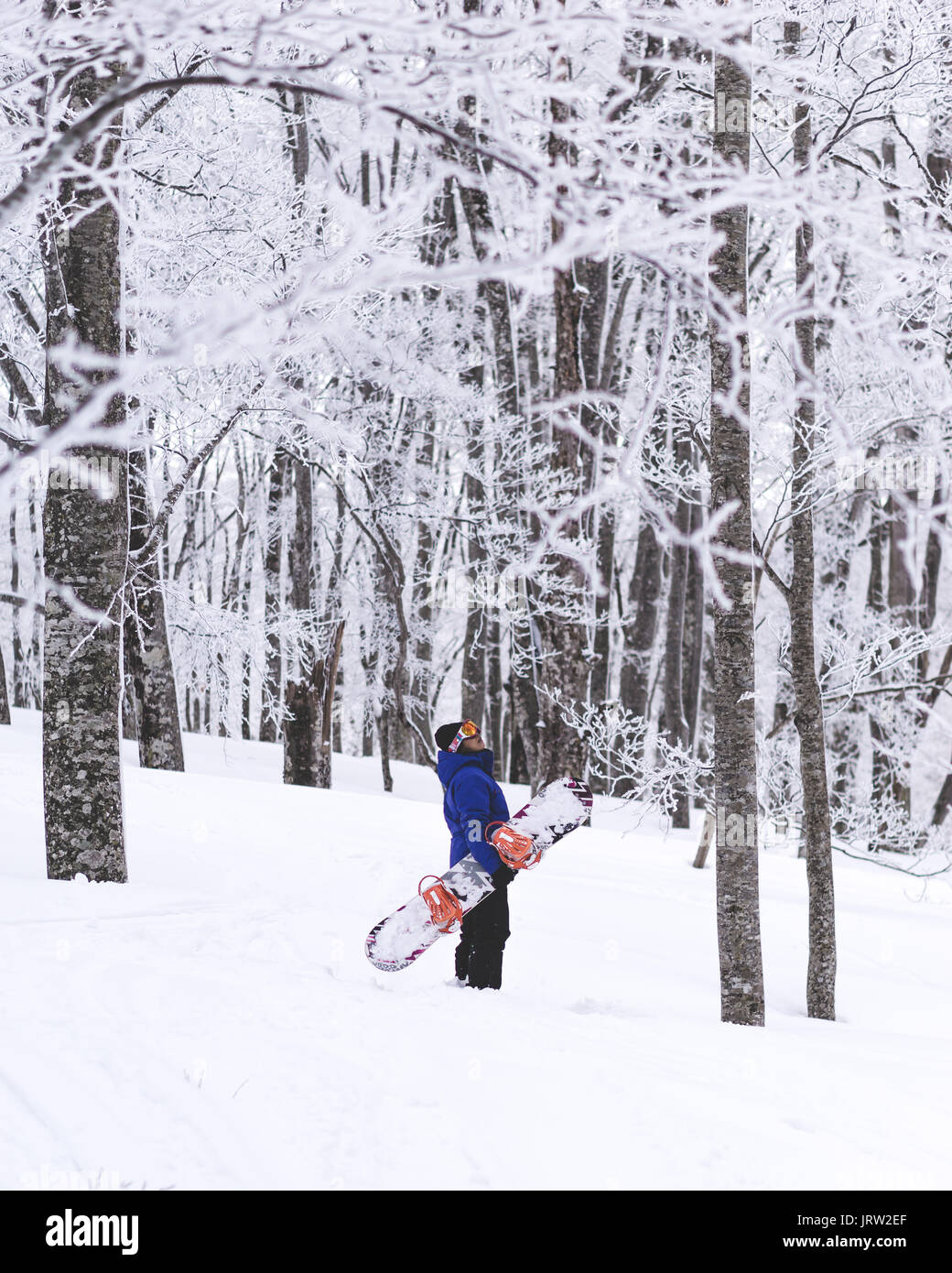 Japan snowboarding hi-res stock photography and images - Alamy