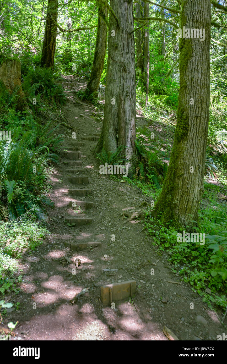 Stepping blocks hi-res stock photography and images - Alamy
