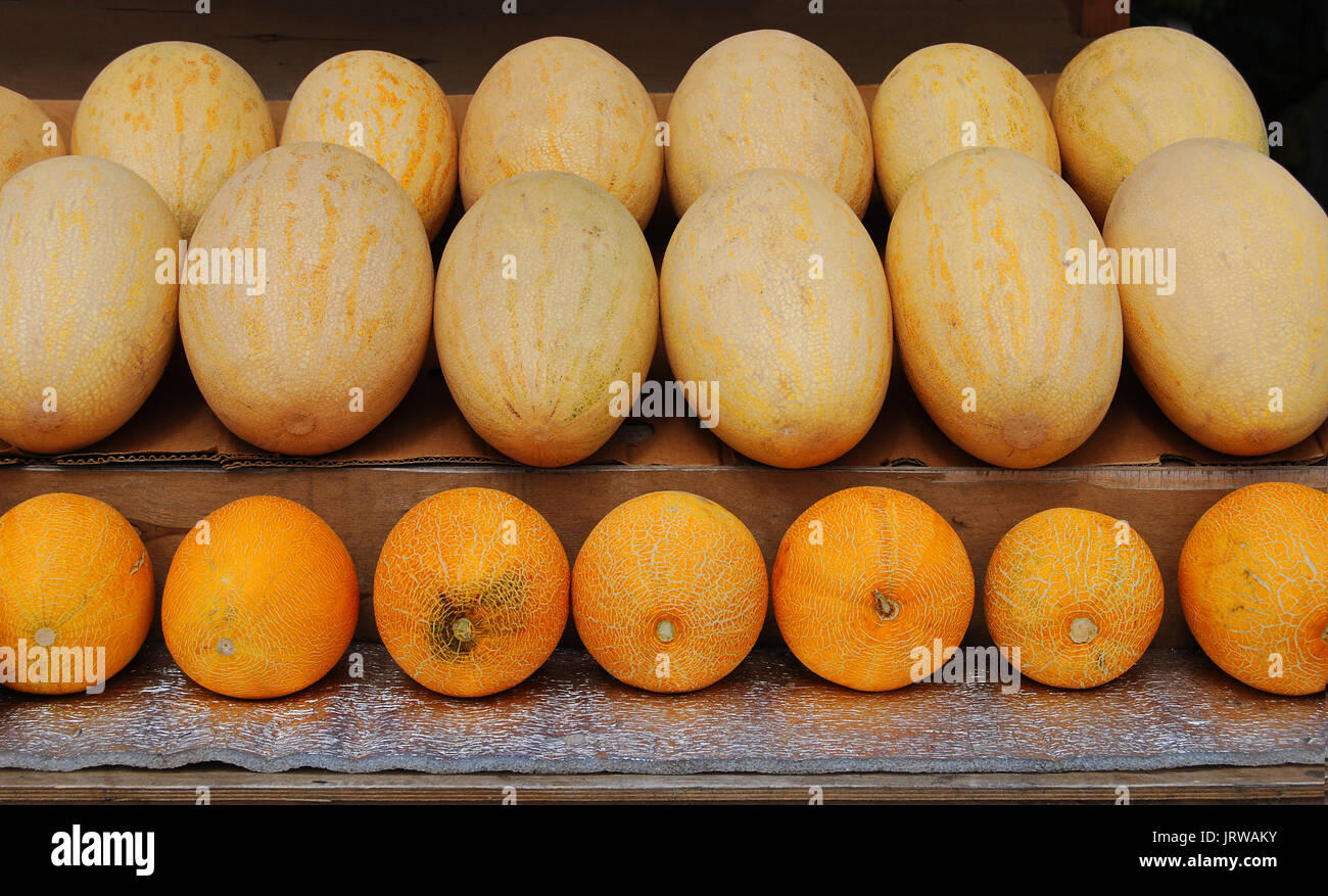Melons are yellow, round and oval are on the counter Stock Photo - Alamy