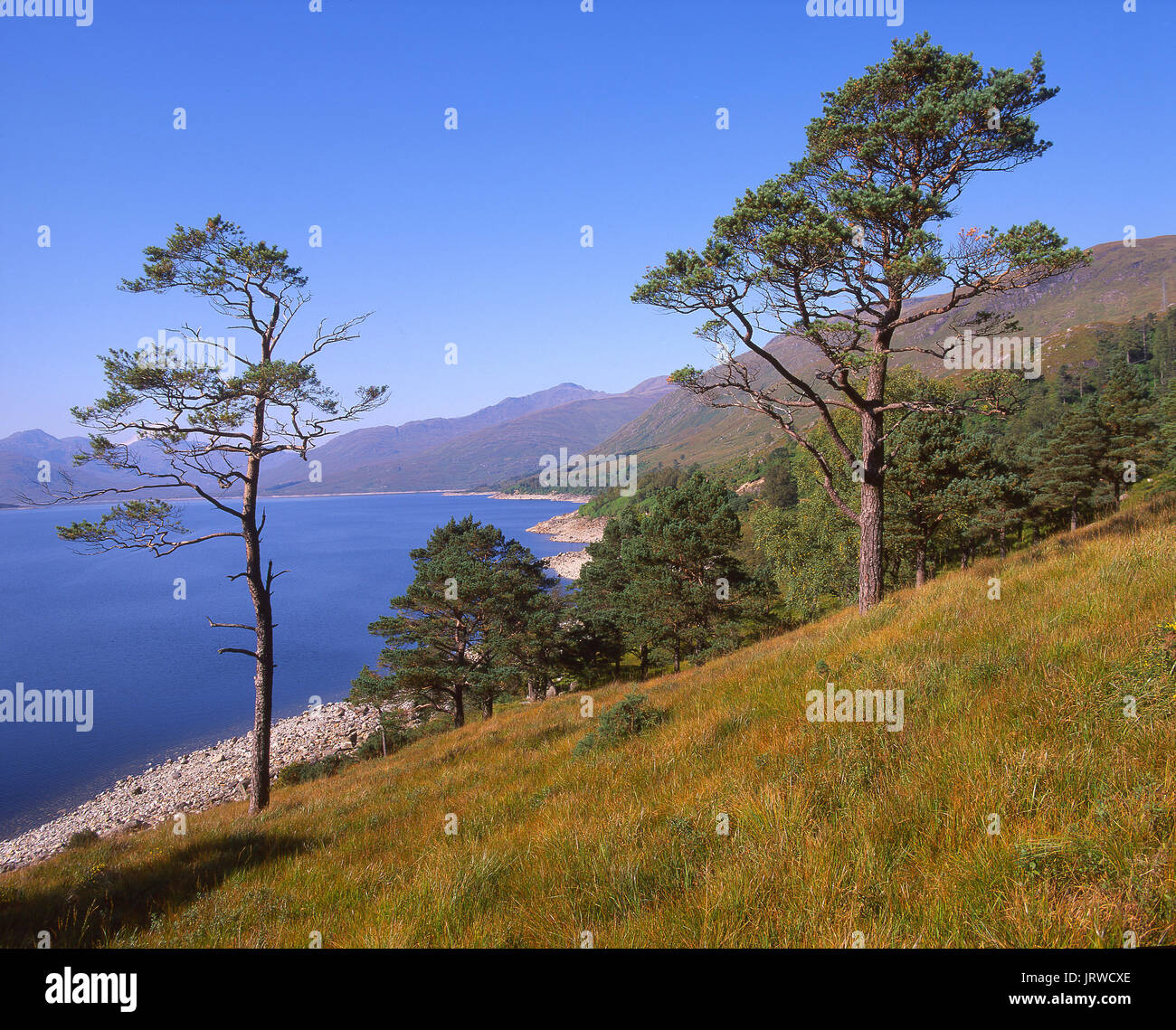 A beautiful summer view looking down Loch Quoich towards the Knoydart ...