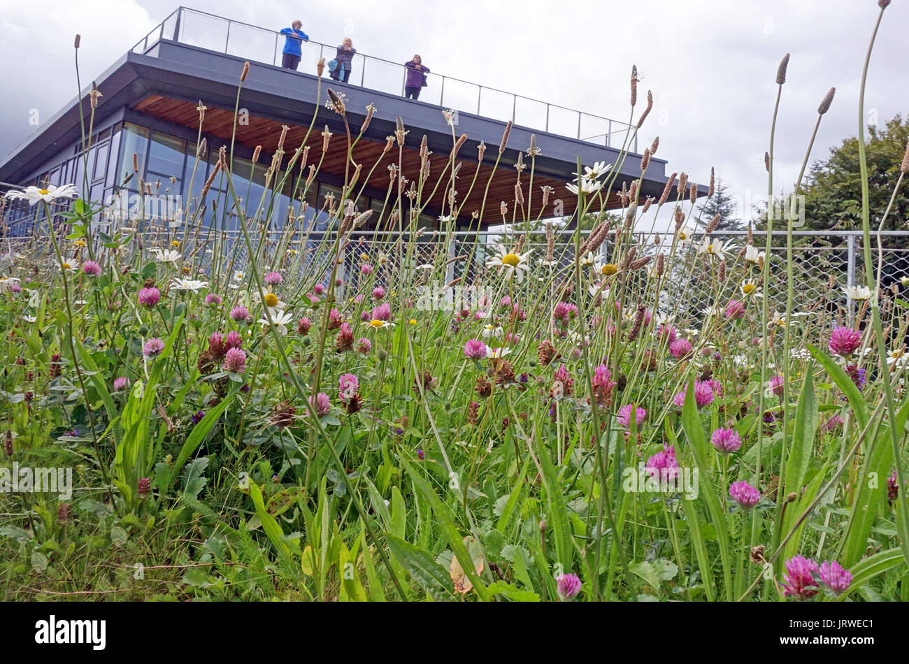 The Sill National Landscape Discovery Centre in Northumberland National ...