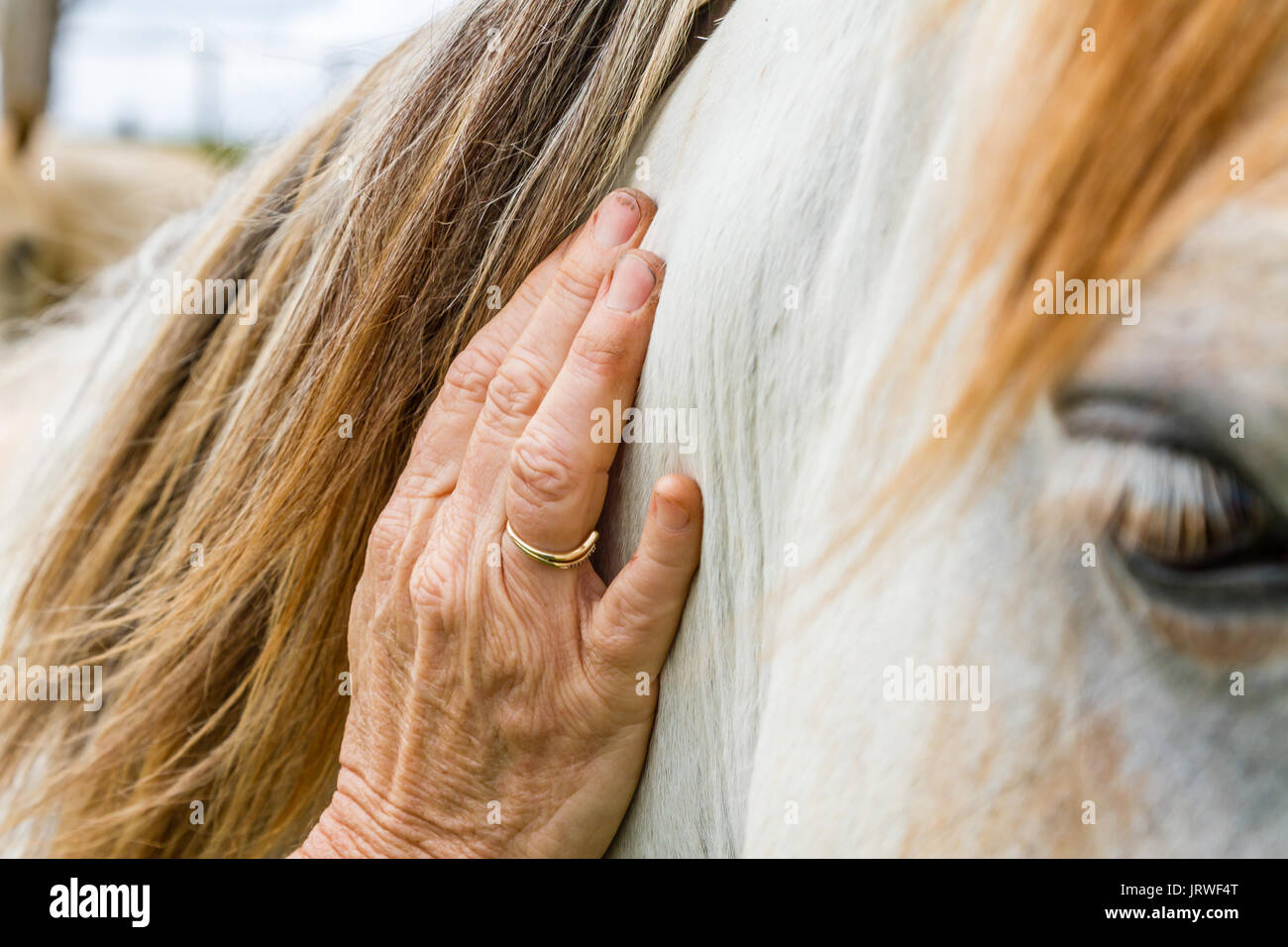 Stroking the cheek hi-res stock photography and images - Alamy