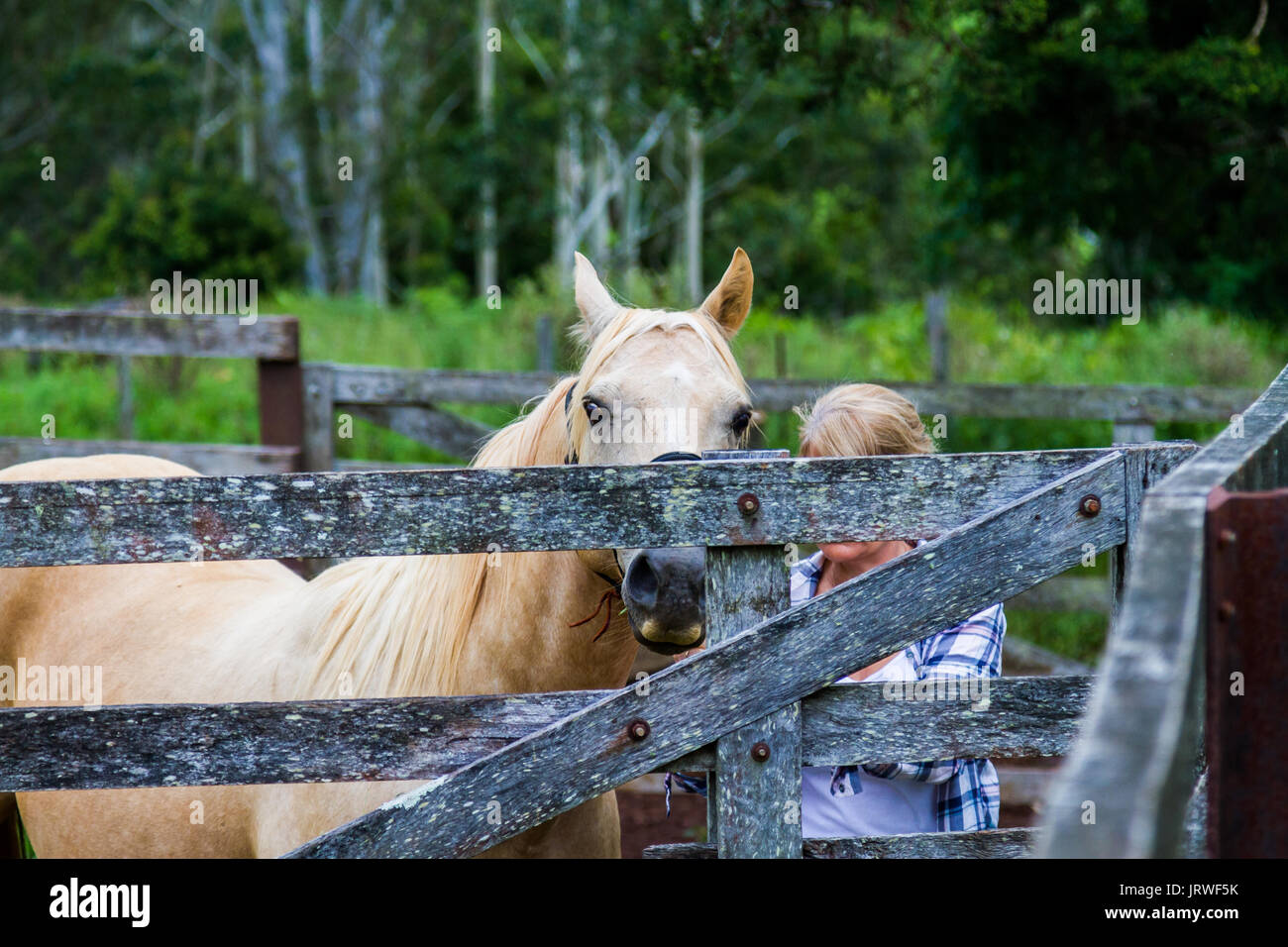 Colour bond fence hi-res stock photography and images - Alamy