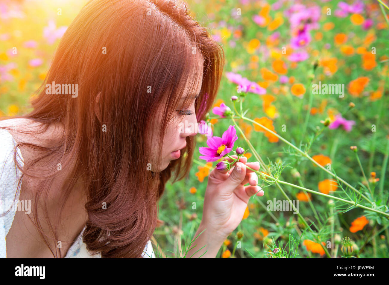 Girl smells flower hi-res stock photography and images - Alamy