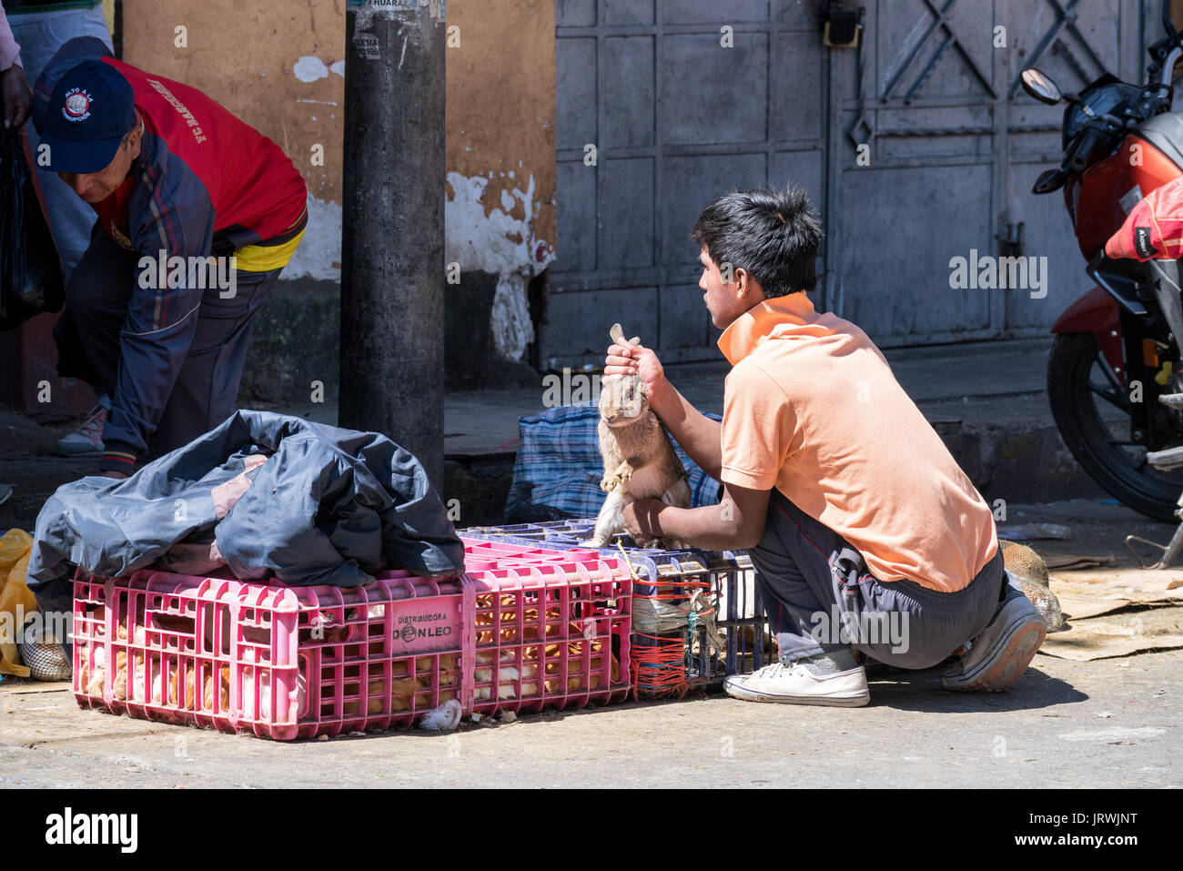 Selling live animals for food in Huaraz, Peru Stock Photo - Alamy