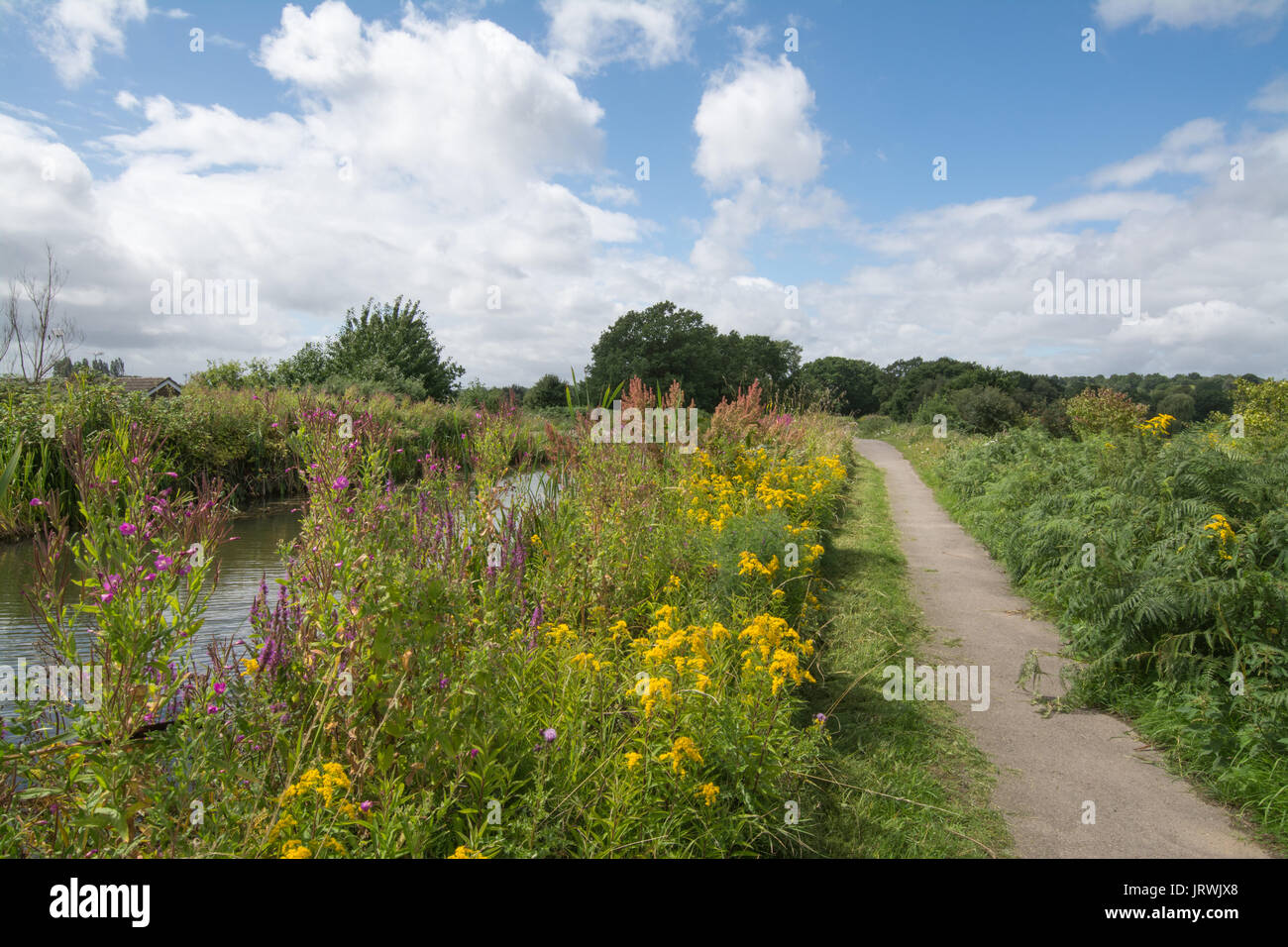 Ash aqueduct hi-res stock photography and images - Alamy