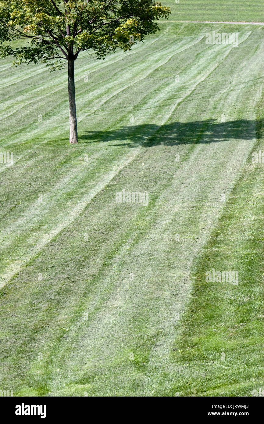 Lawn Mowing Patterns High Resolution Stock Photography and Images - Alamy