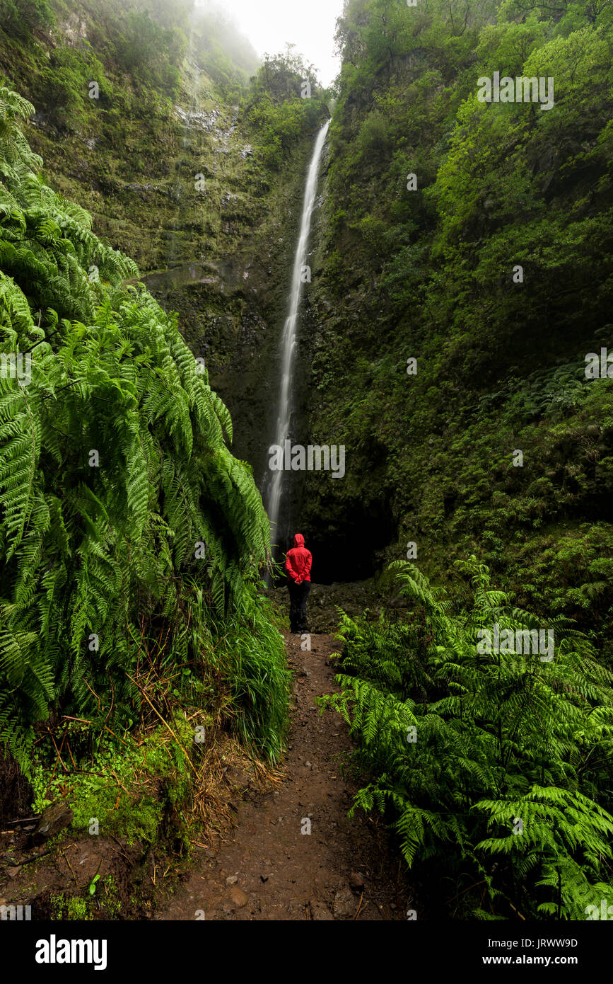 Waterfall with rainforest in fog and hikers, green kettle Caldeirao ...
