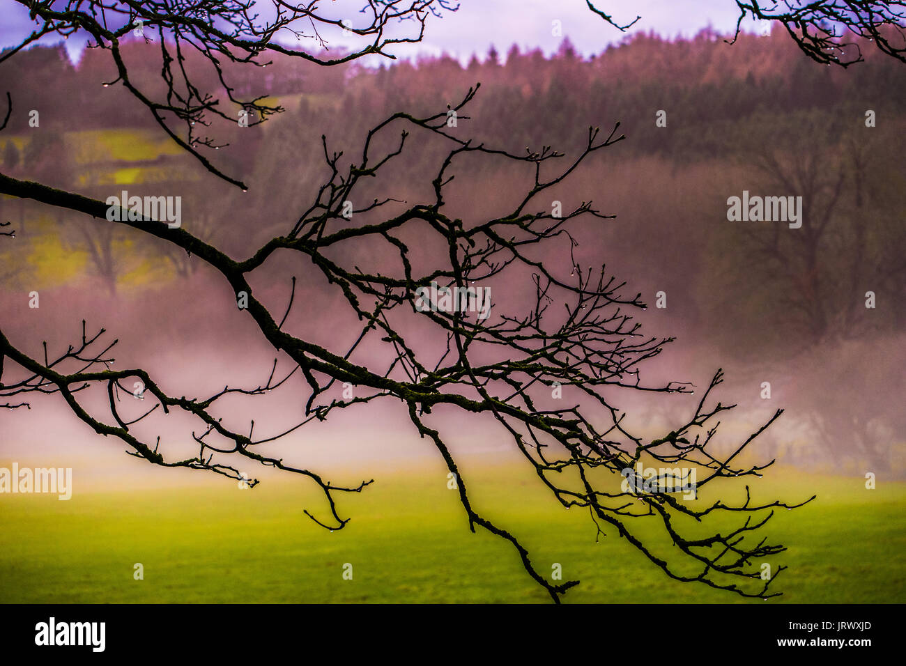 Mist in the valley hi-res stock photography and images - Alamy