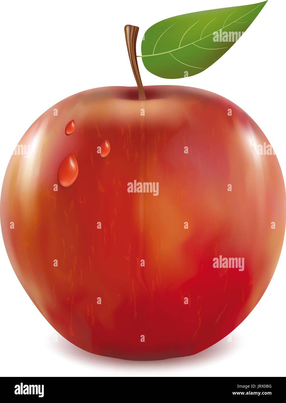 Green leaves red fruits Stock Vector Images - Alamy