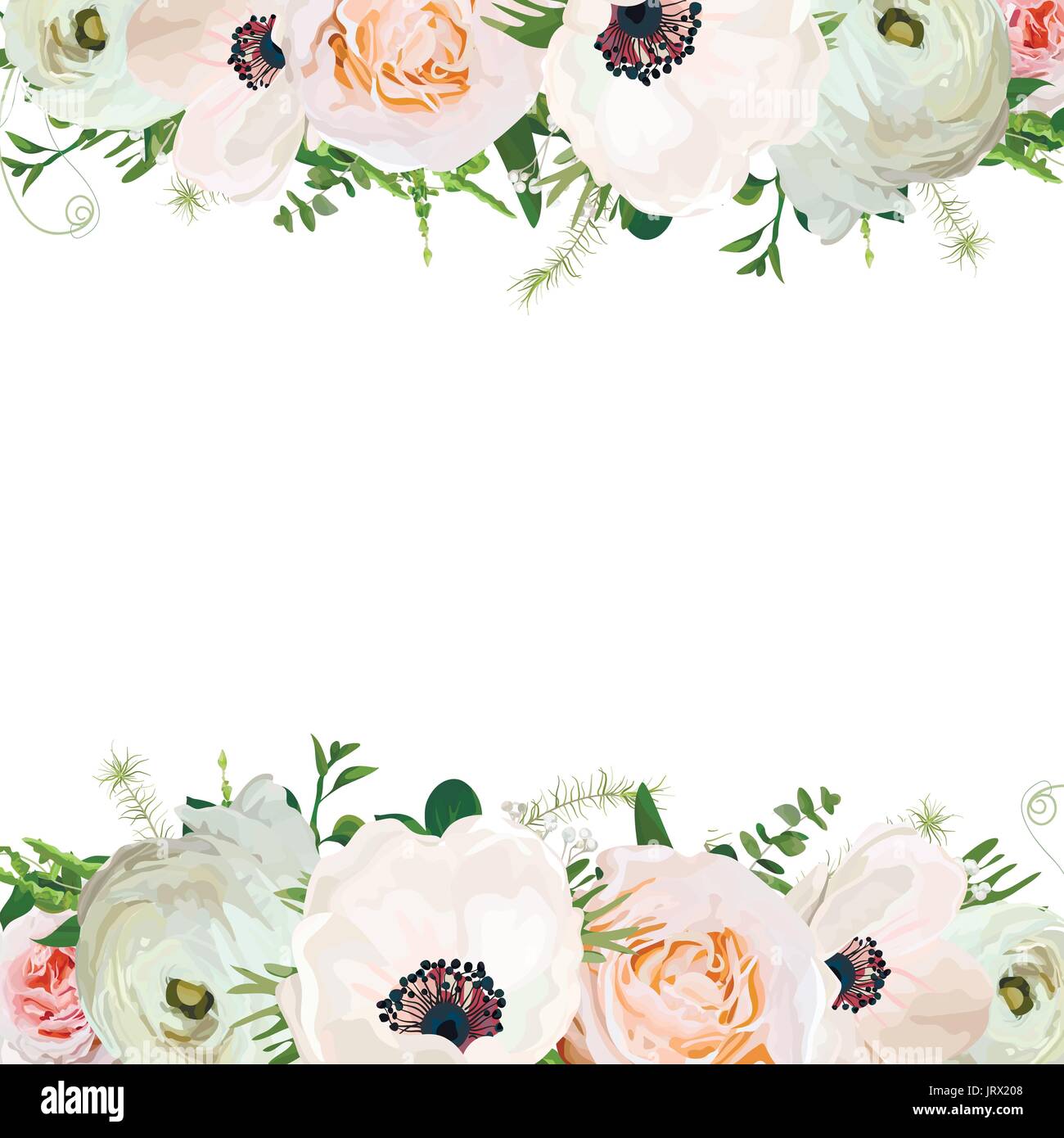 Vector flower square card design. Light pink Anemone, Ranunculus ...