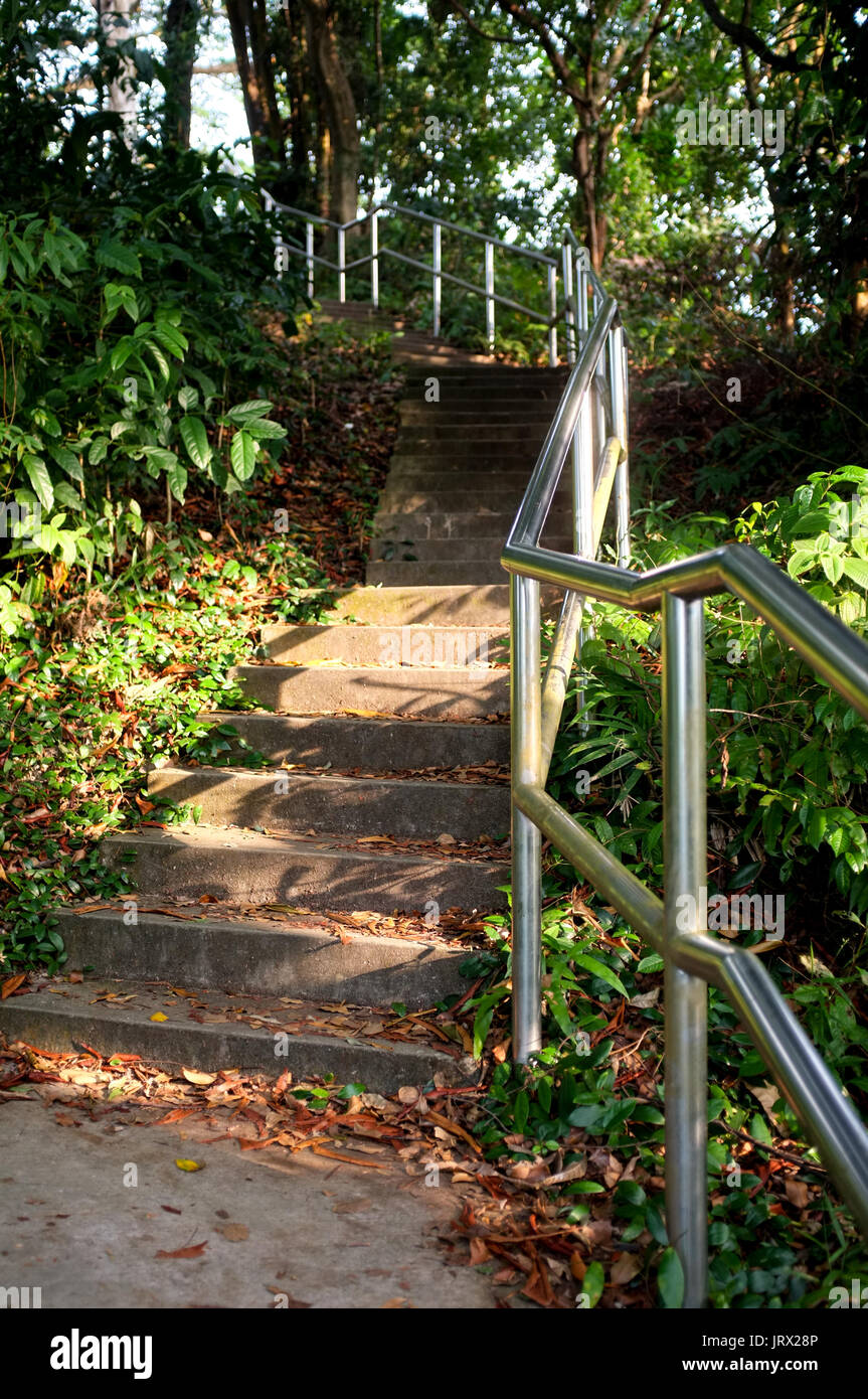 Man made path and steps hi-res stock photography and images - Alamy