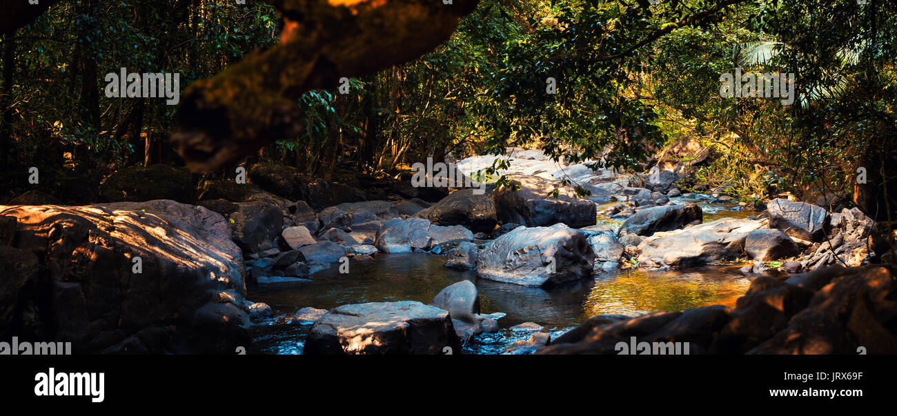 Panorama of the mountain river in the jungle, Morning, India, Goa Stock ...