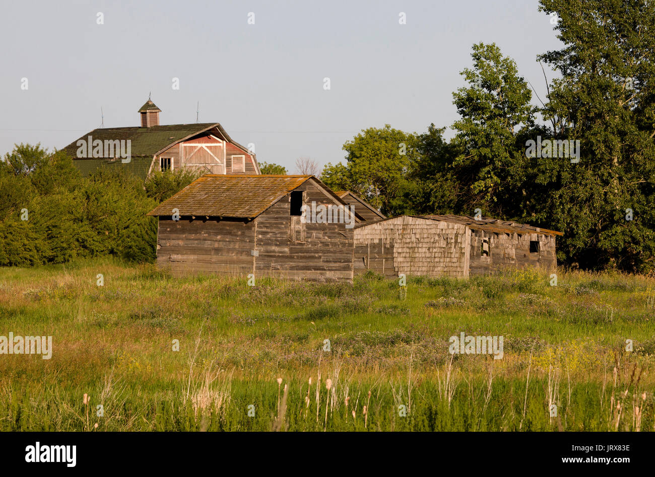 Abandoned farm buildings hi-res stock photography and images - Alamy