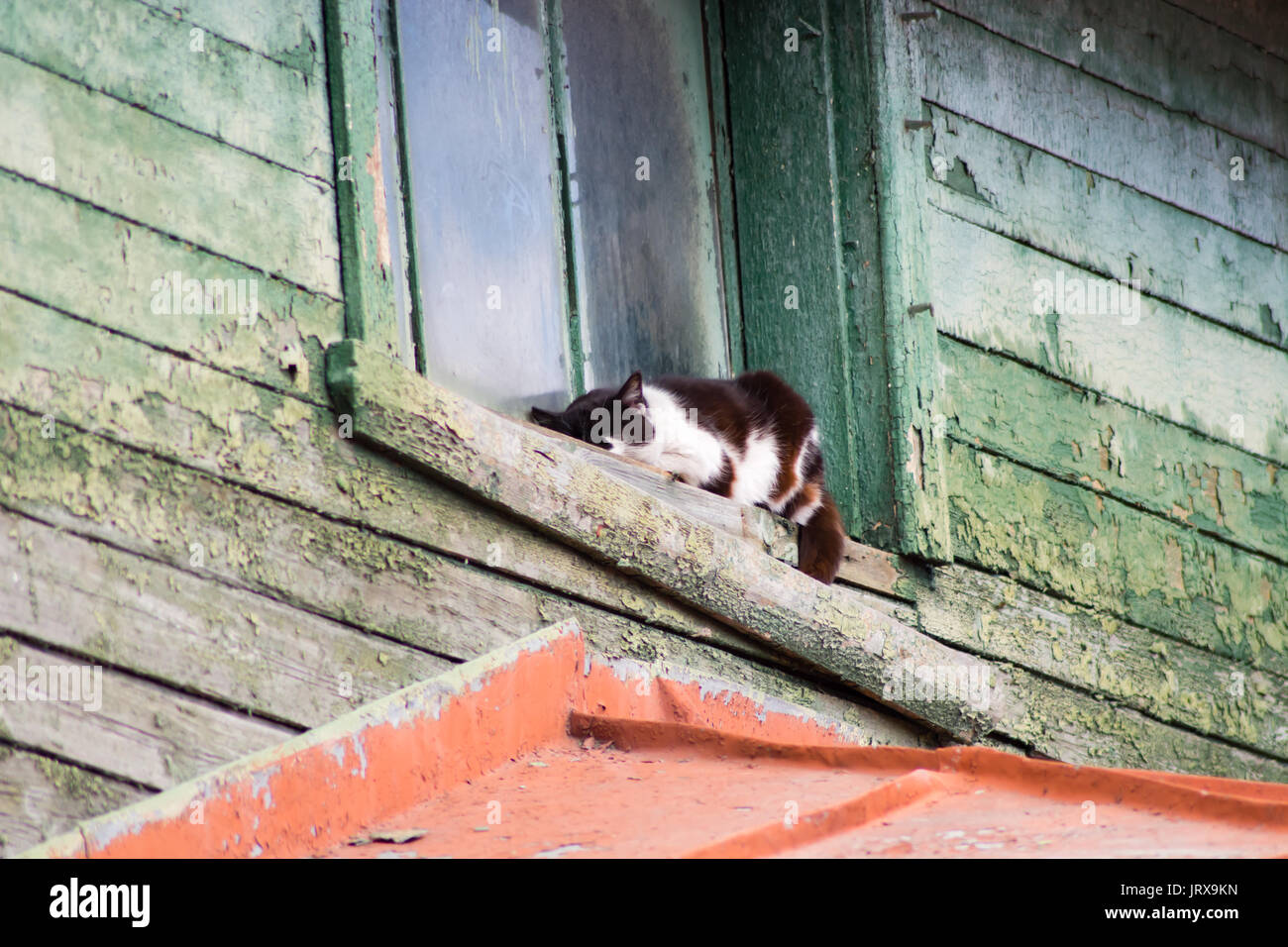 the cat homeless man sitting sad and alone on the street Stock Photo ...