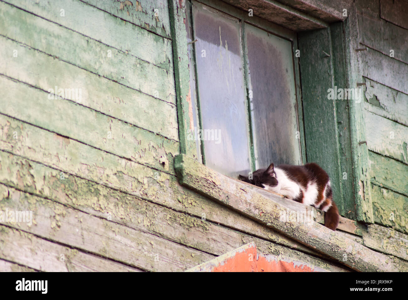the cat homeless man sitting sad and alone on the street Stock Photo ...