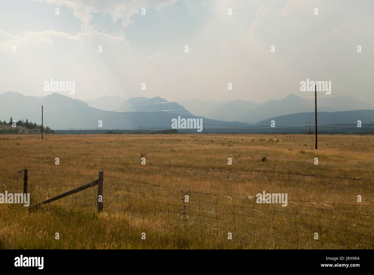 Field in the canadian prairies in Alberta, Canada, with the Rocky ...