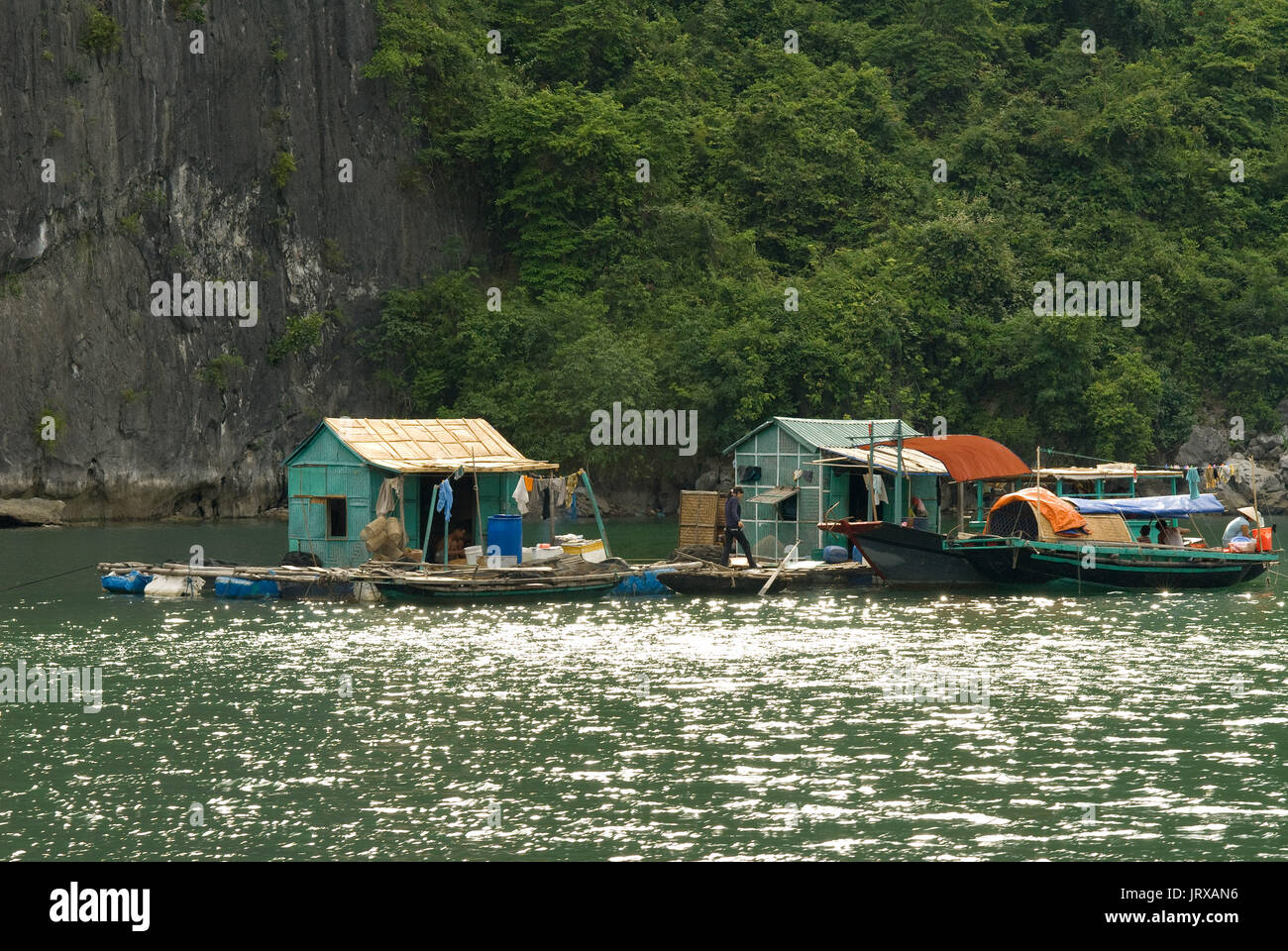 Floating fishing village in Halong Bay. Fish farm village amongst karst ...