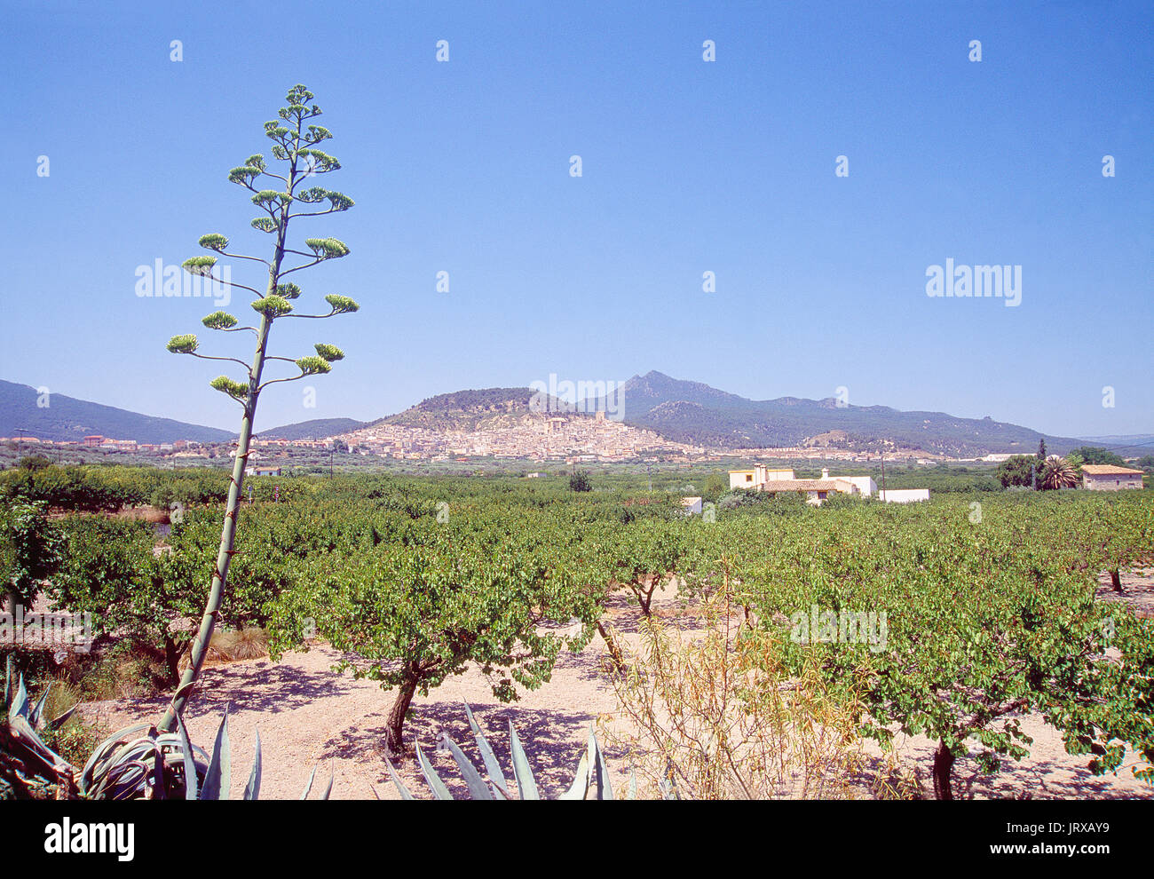 Murcia spain landscape hi-res stock photography and images - Alamy