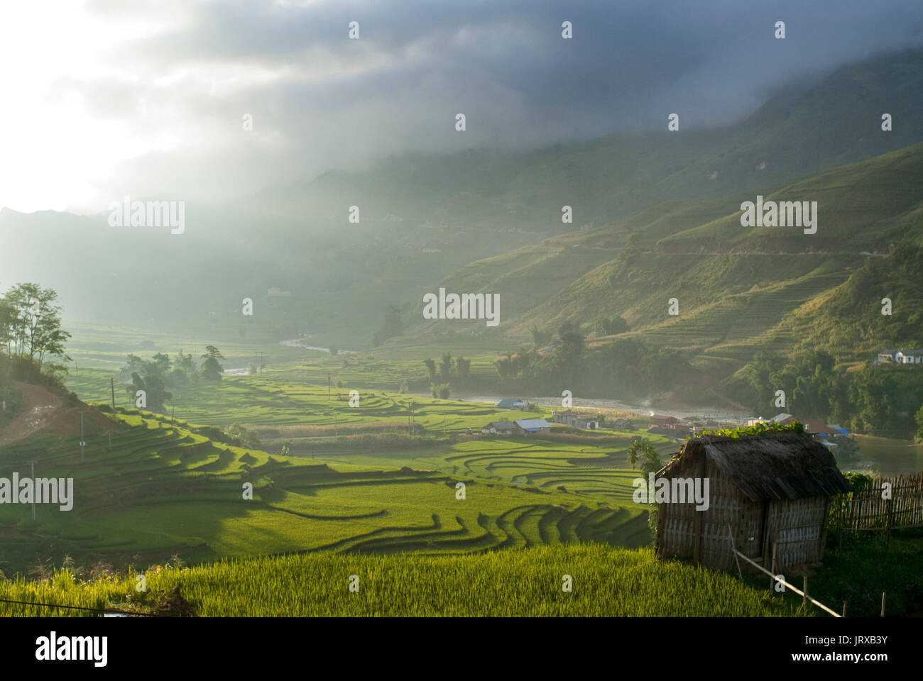 Sunset in the rice terraces nearby of Lao Chai village. Trekking Sapa ...