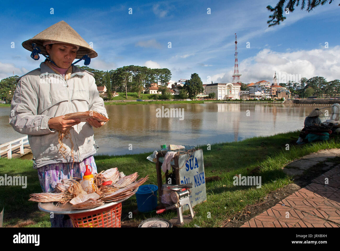View of Dalat with the "Dalat Eiffel Tower", Dalat, Central Highlands ...