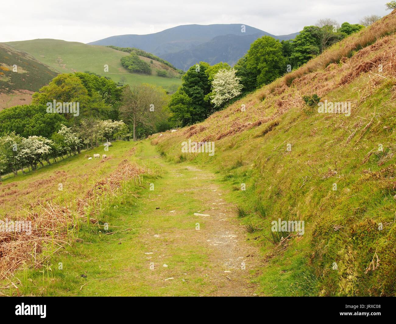 Corpse road lake district hi-res stock photography and images - Alamy