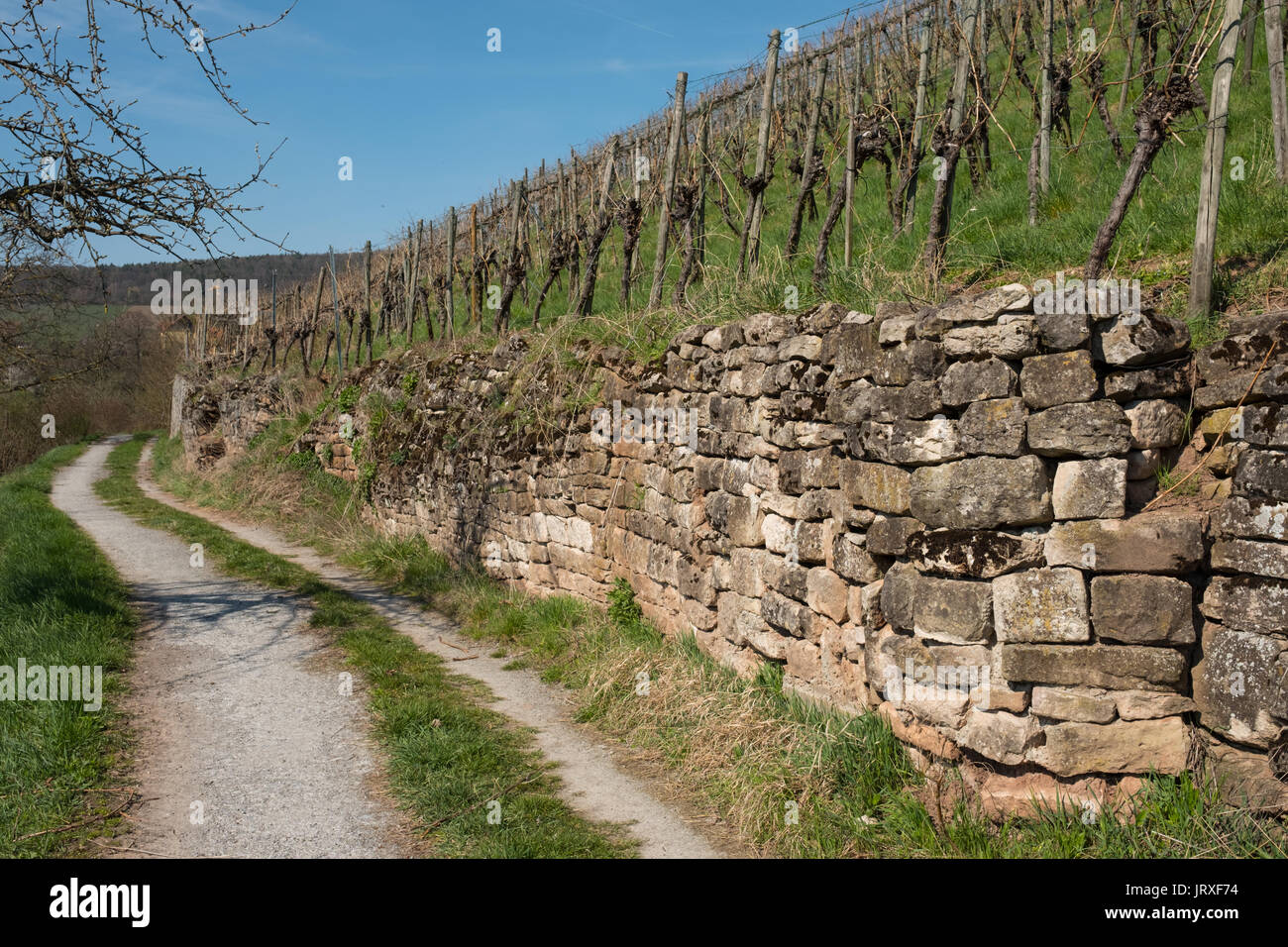 Ancient wall of stone in a vineyard in Germany Stock Photo - Alamy