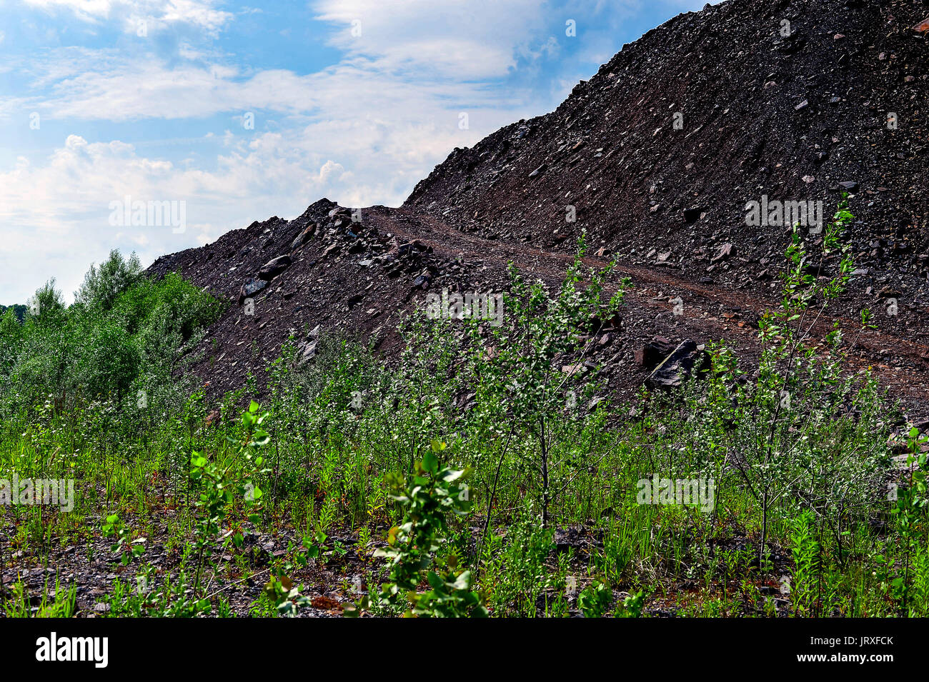 Waste bush and rock landscape hi-res stock photography and images - Alamy
