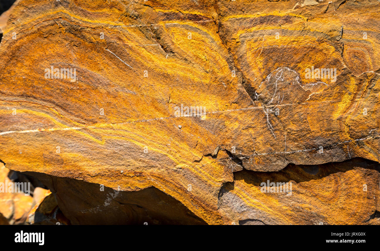 Fossil layers hi-res stock photography and images - Alamy