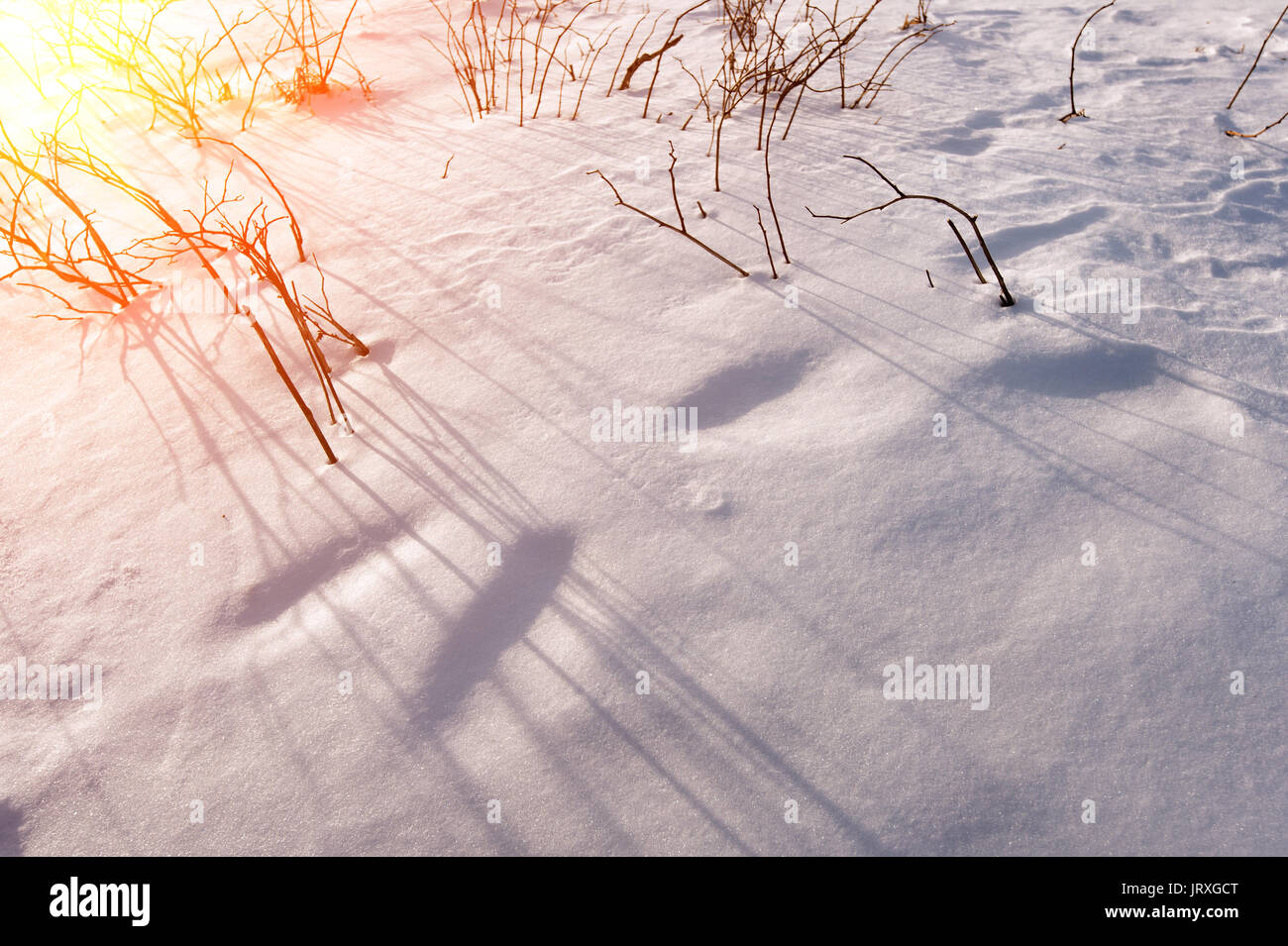 Solar flare on white hi-res stock photography and images - Alamy
