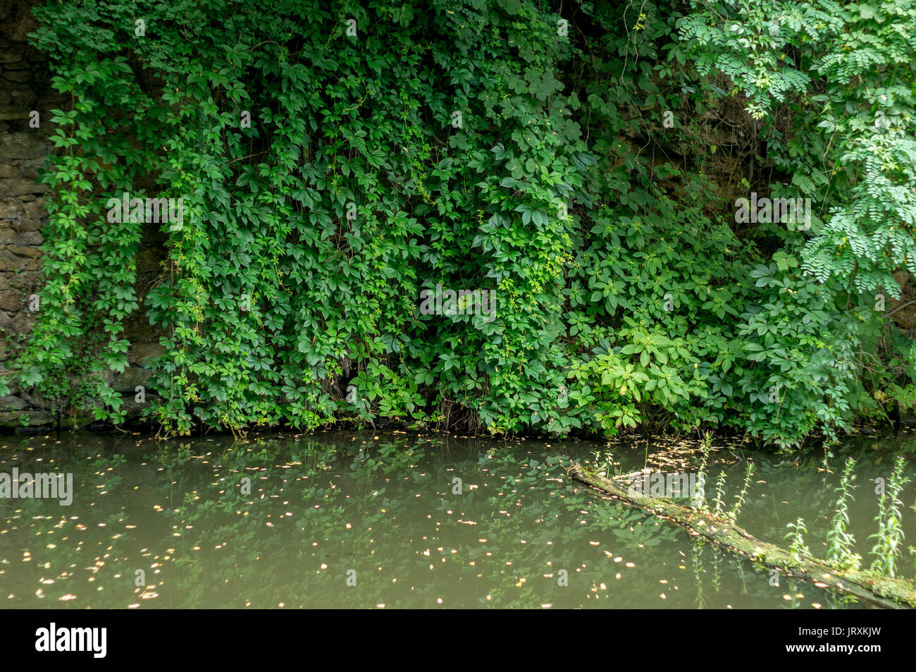 Pond around the moated castle Bagieniec lower Silesia Poland Stock ...